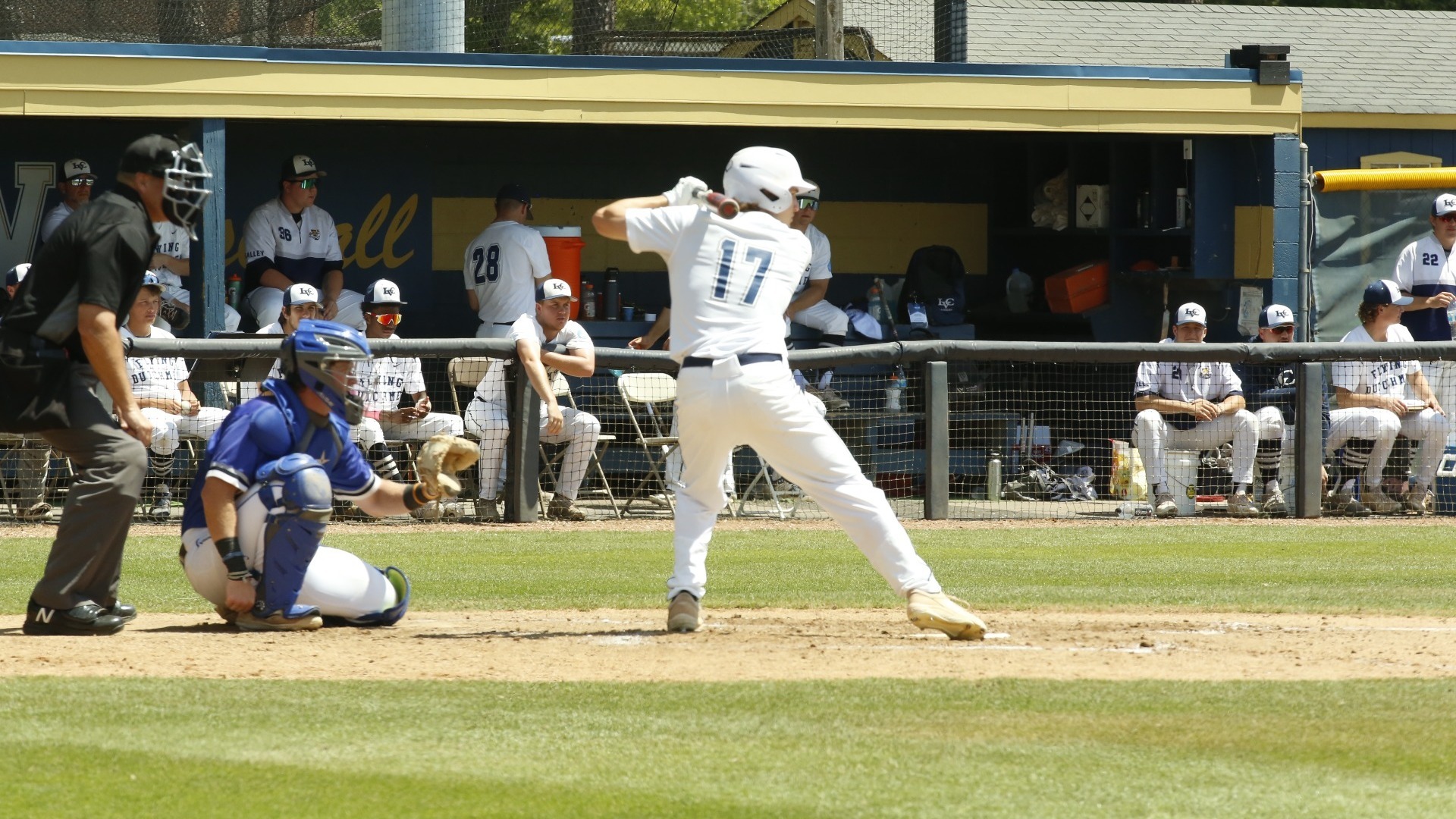 Pete Botbyl - Baseball - Lebanon Valley College Athletics