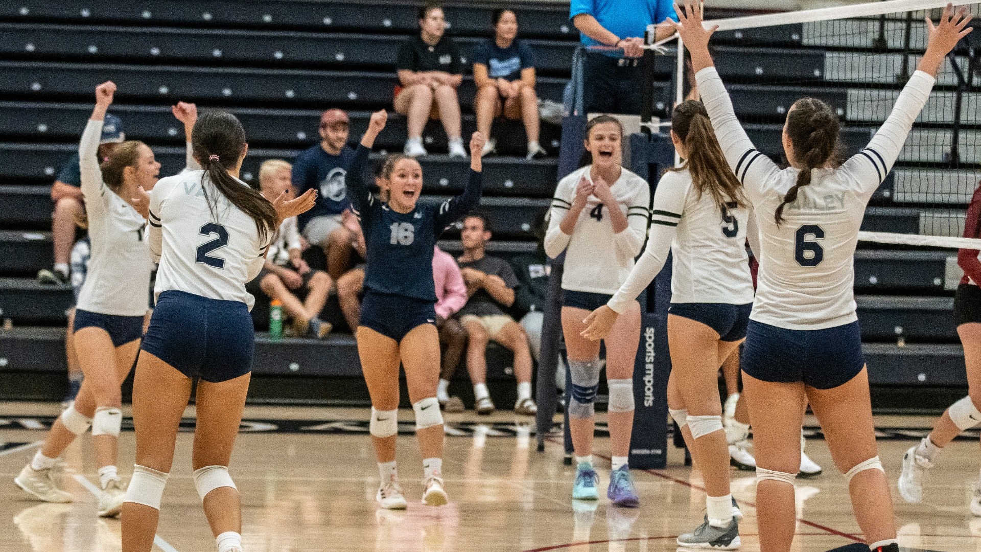 LVC Volleyball Wins Sixth Straight With Victory Over King's - Lebanon ...