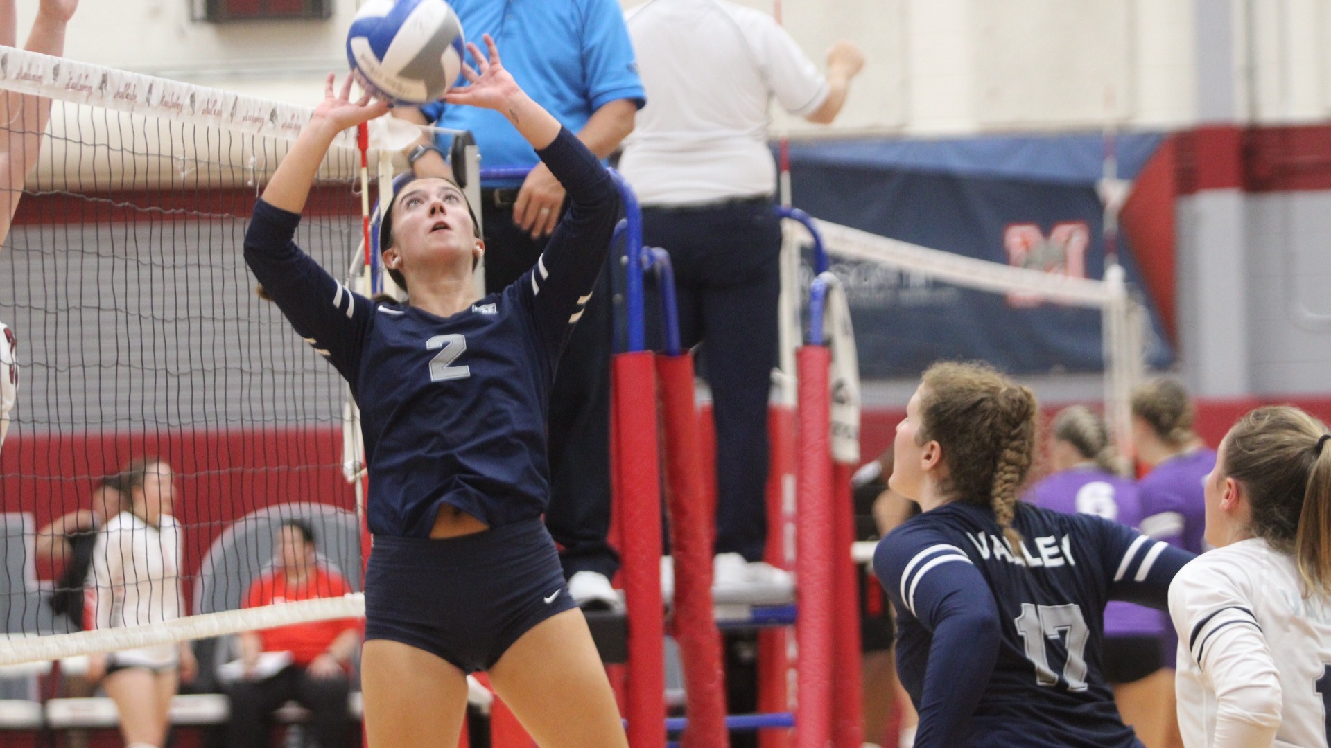 Robyn Stepler - Volleyball - Lebanon Valley College Athletics