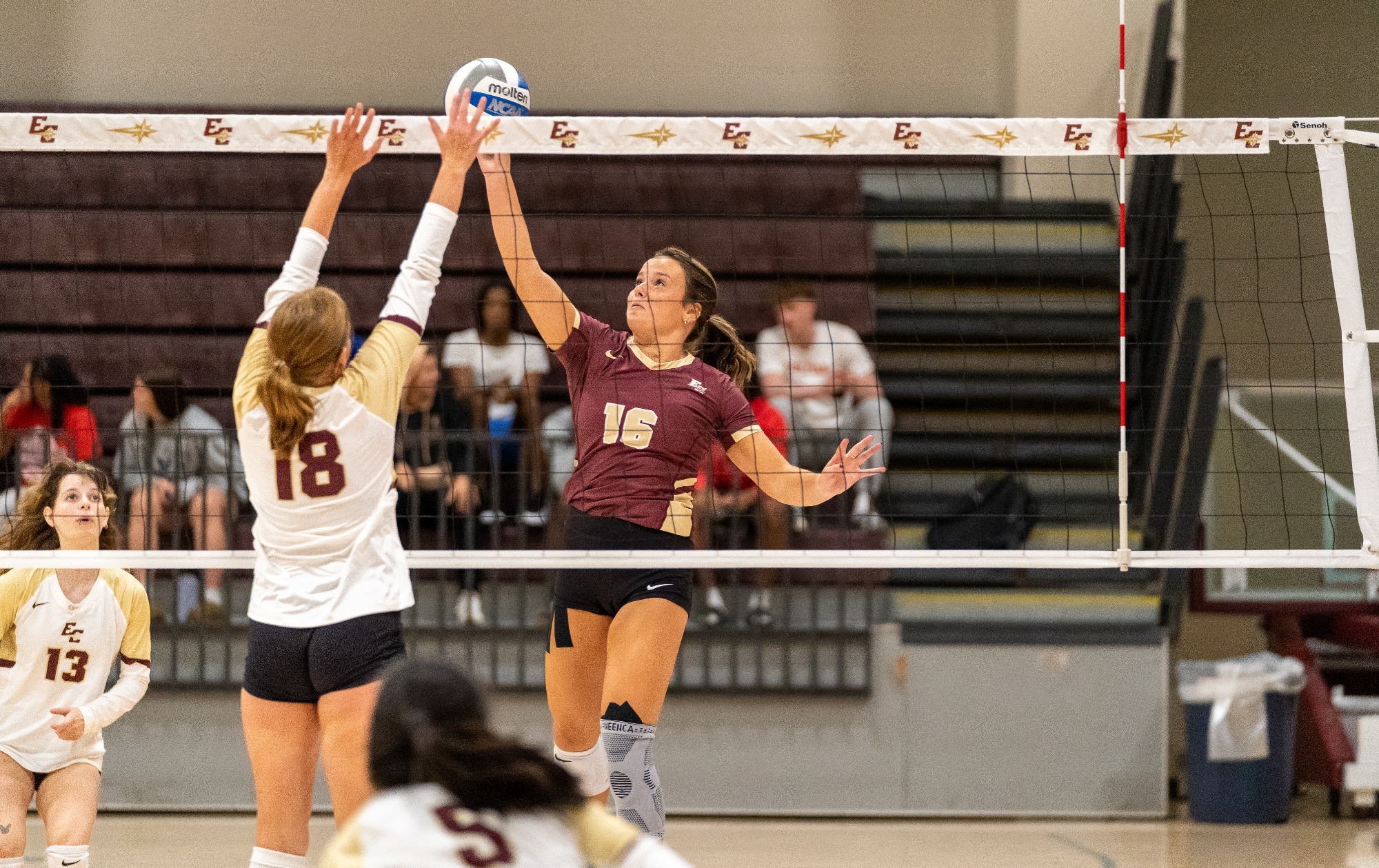 Volleyball winless at Pam Briggs Classic - Earlham College
