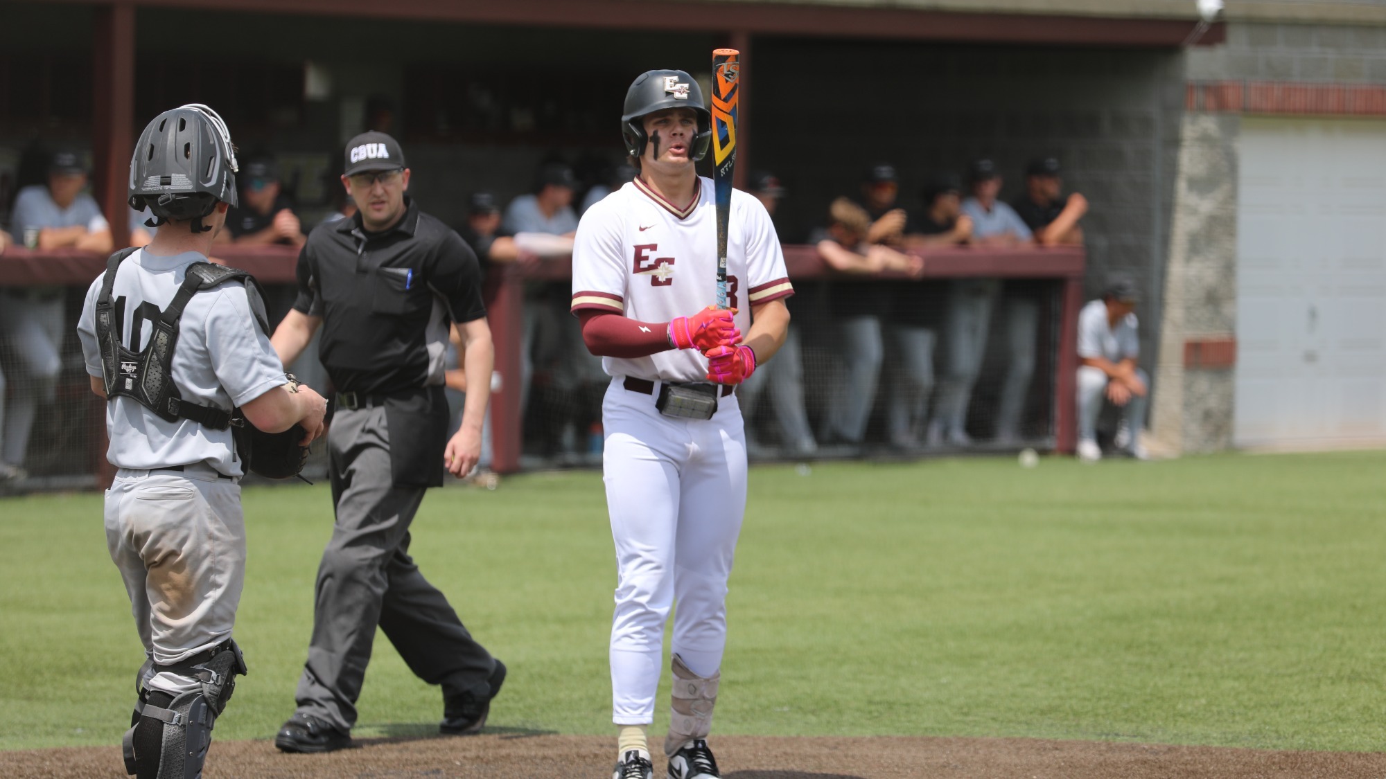 Baseball ends season at Defiance - Earlham College