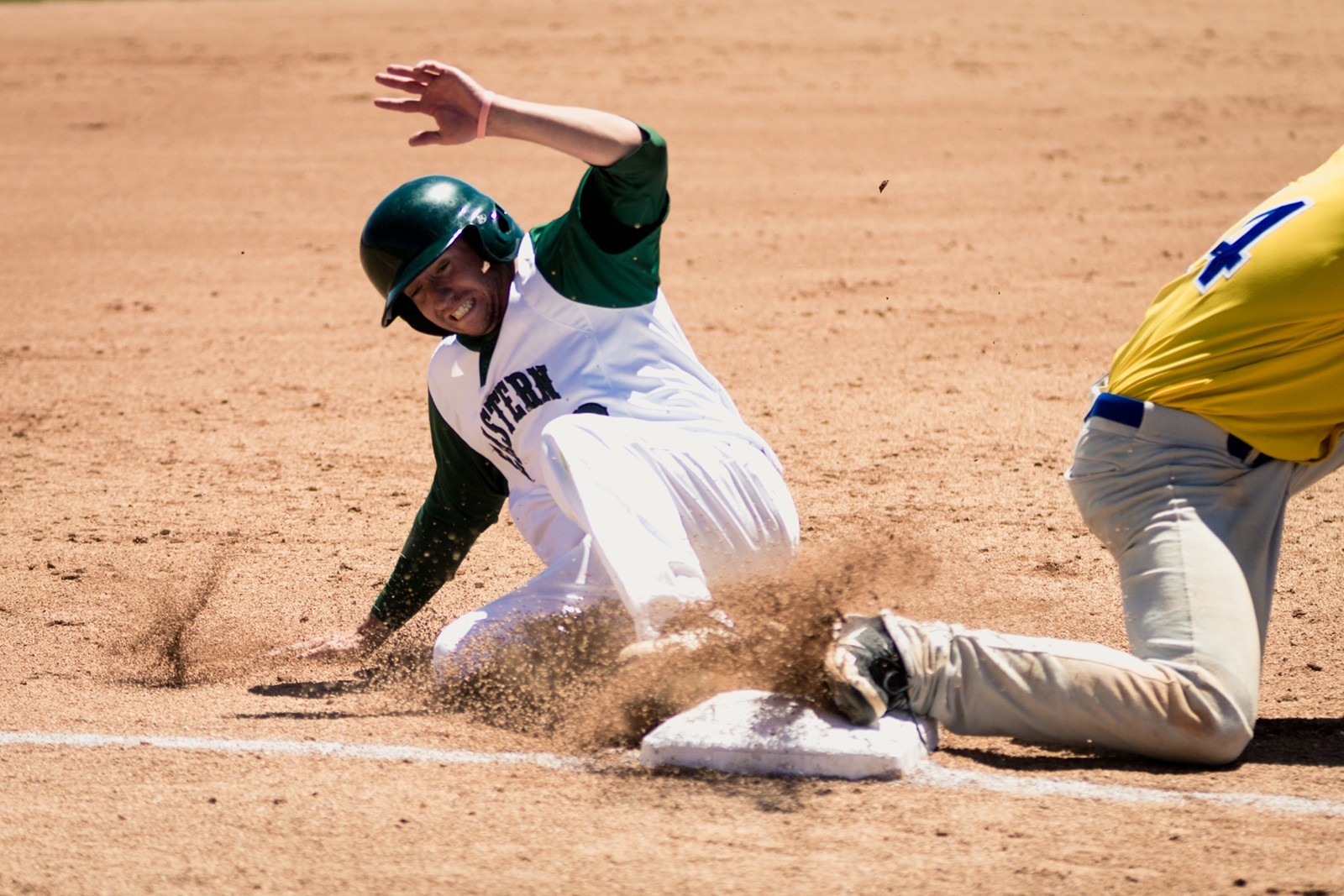 Dylan Nault - 2016 - Baseball - Eastern New Mexico University Athletics