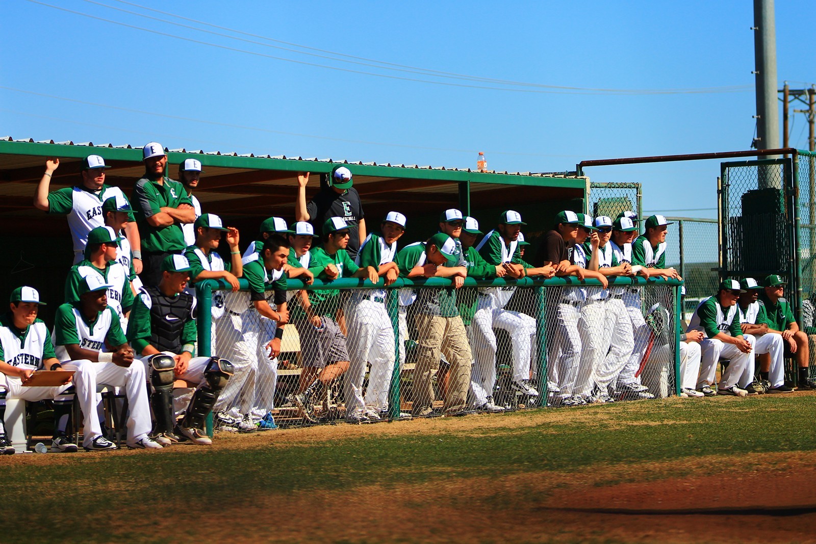 Dylan Montano - 2015 - Baseball - Eastern New Mexico University Athletics