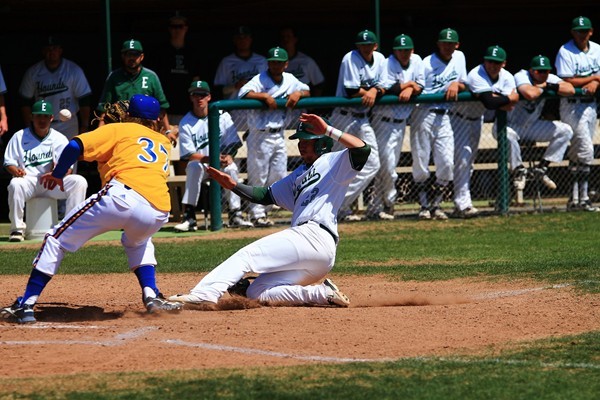 Dylan Nault - 2016 - Baseball - Eastern New Mexico University Athletics