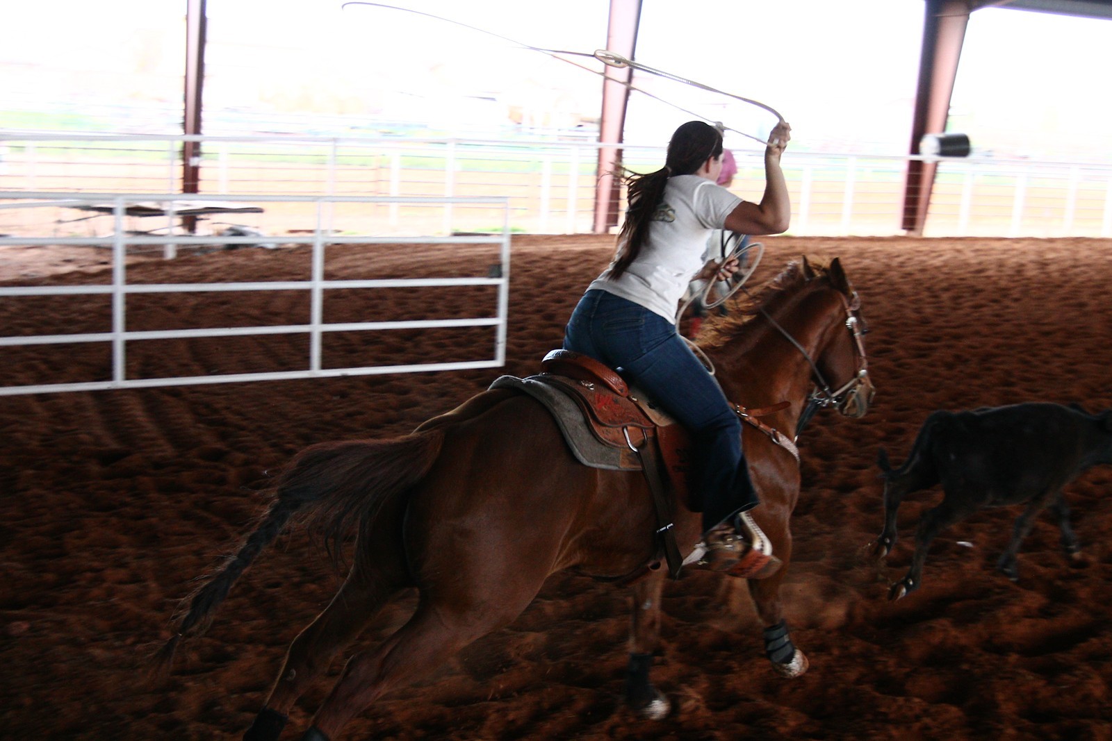 Lindsey Adcock - 2017-18 - Rodeo - Eastern New Mexico University Athletics