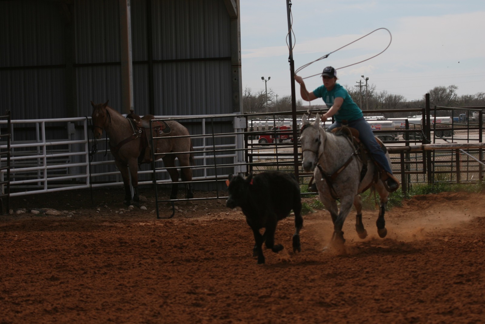 Tierra Gray - 2016-17 - Rodeo - Eastern New Mexico University Athletics