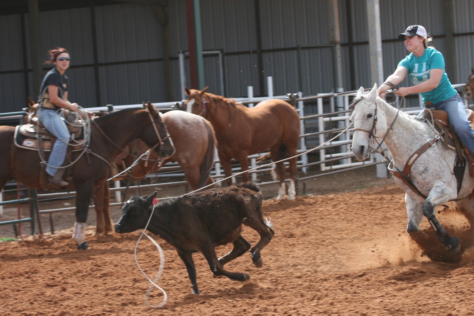 Tierra Gray - 2016-17 - Rodeo - Eastern New Mexico University Athletics
