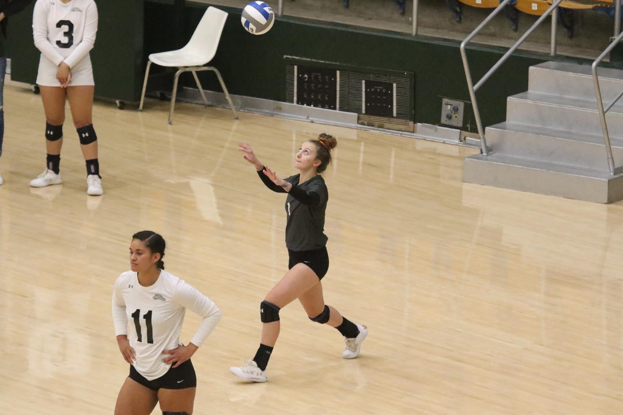 M'Lee Vinson - 2020 - Women's Volleyball - Eastern New Mexico ...