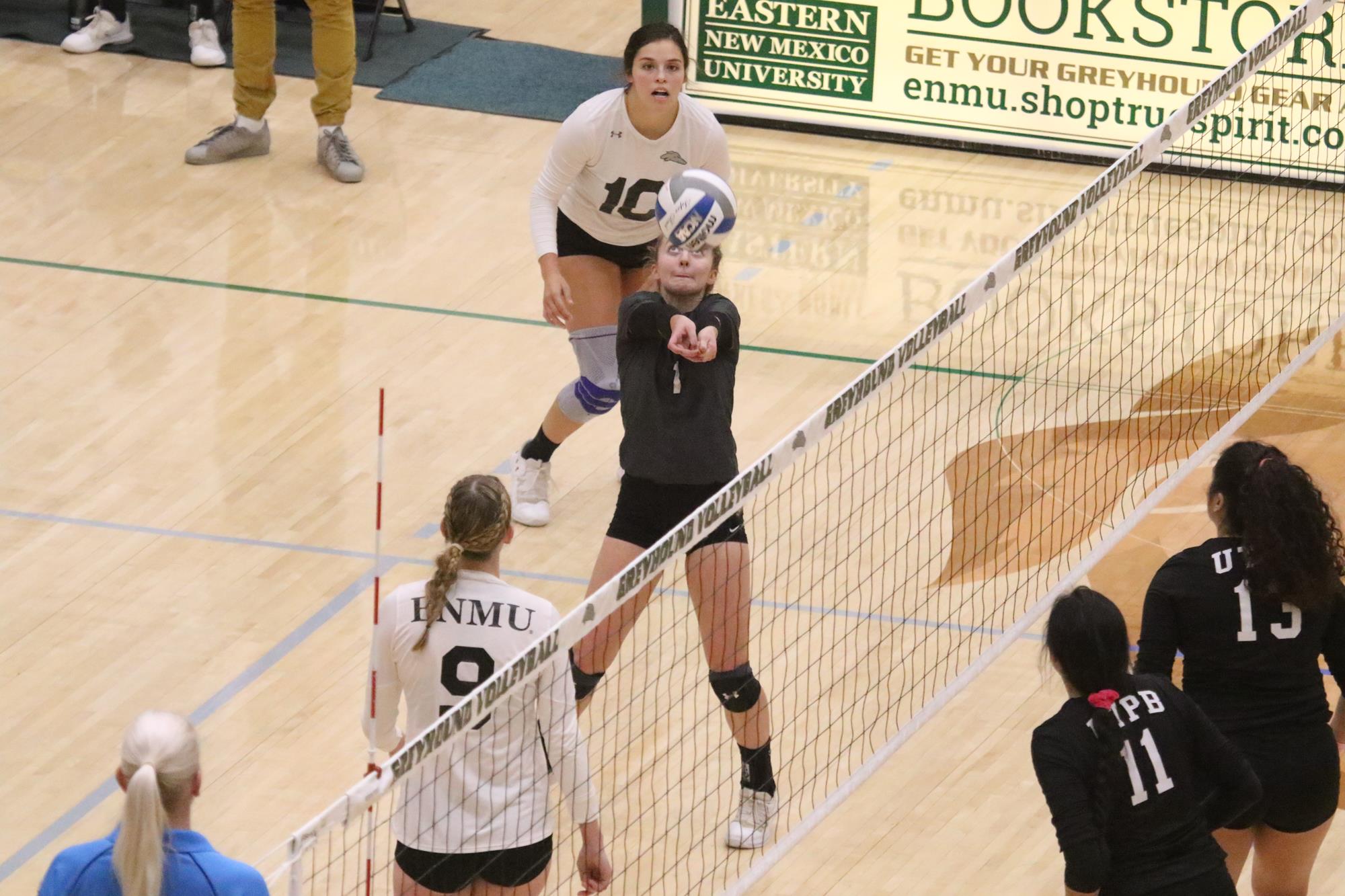 M'Lee Vinson - 2020 - Women's Volleyball - Eastern New Mexico ...