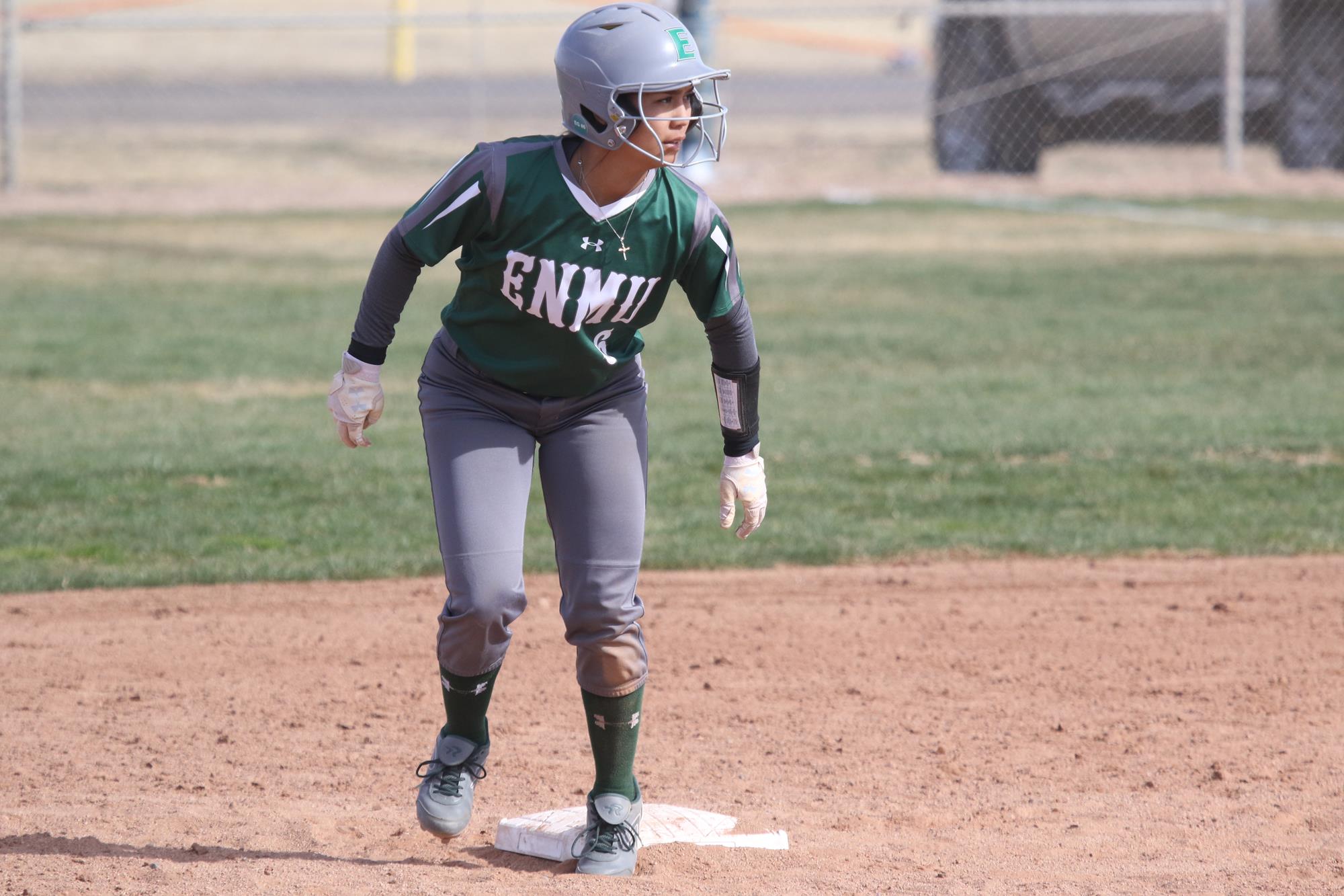 Softball Finishes First Home Series 1-1 Against Falcons - Eastern New ...