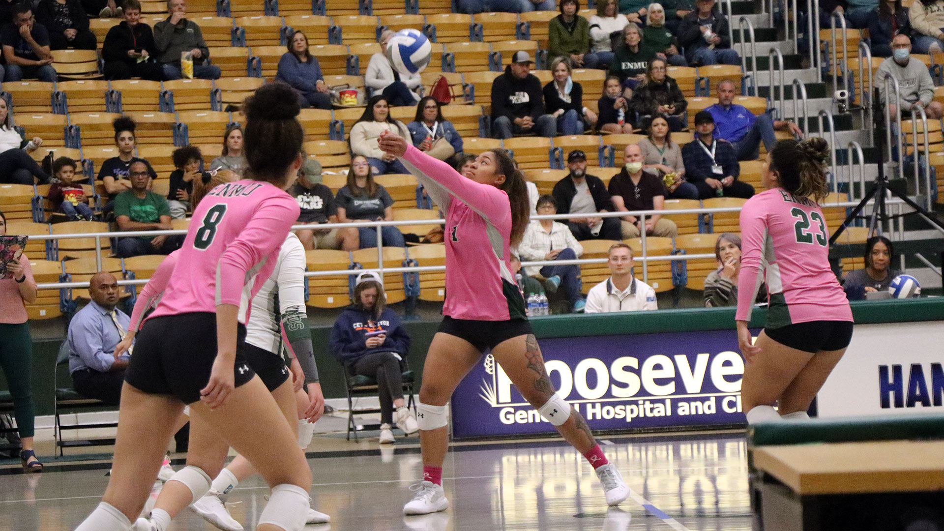 Adriana Puni - 2022 - Women's Volleyball - Eastern New Mexico ...