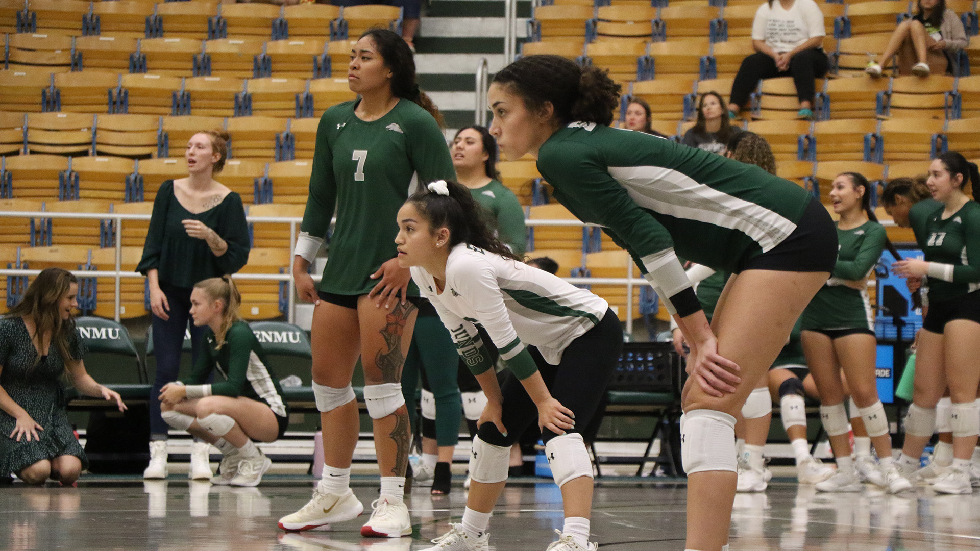 Adriana Puni - 2022 - Women's Volleyball - Eastern New Mexico ...