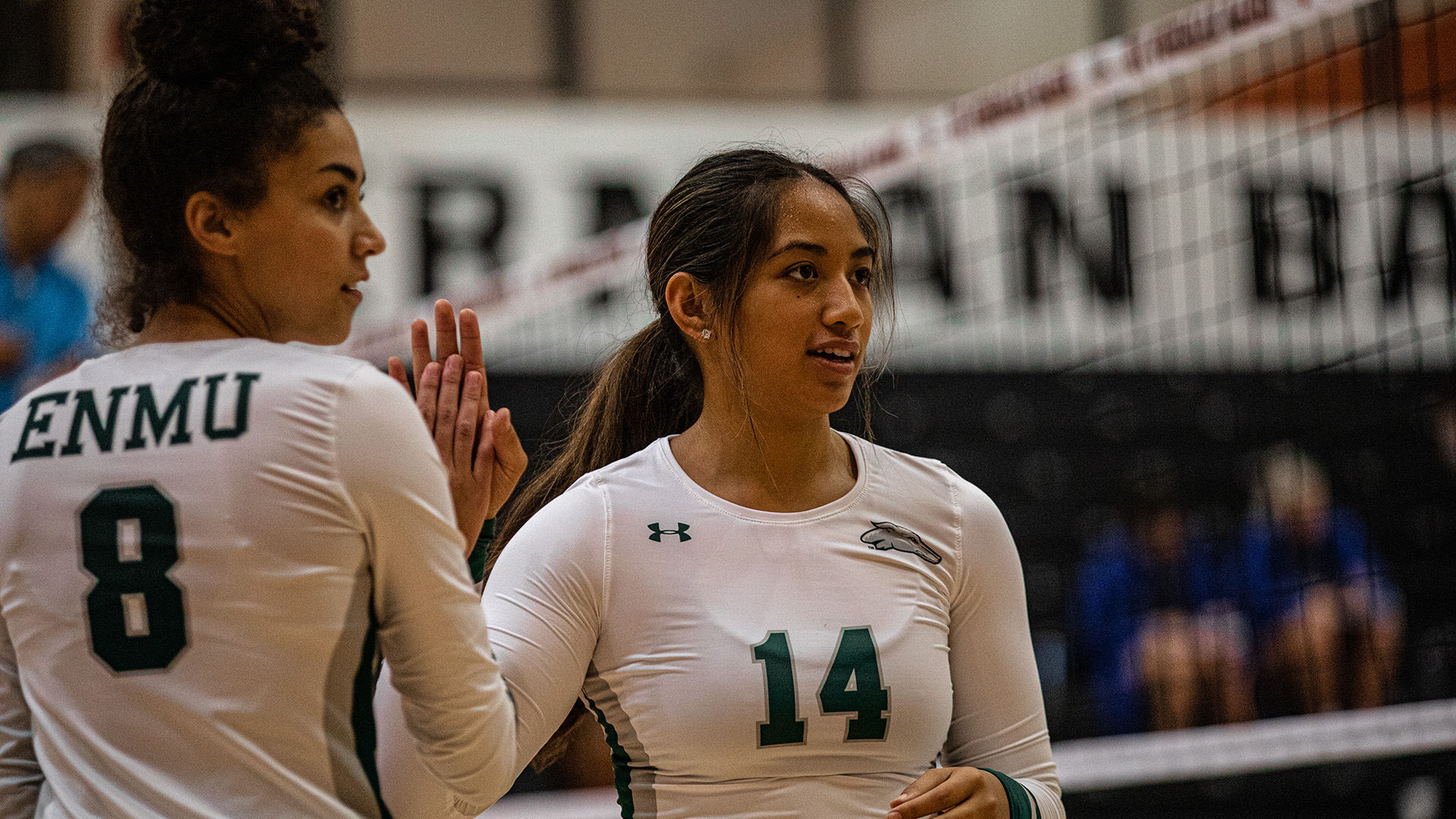 Jaylynn Nihipali - 2022 - Women's Volleyball - Eastern New Mexico ...