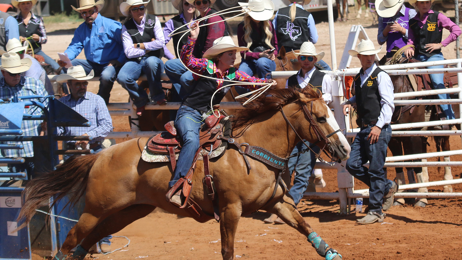 McKinzee Corliss - 2023-24 - Rodeo - Eastern New Mexico University ...