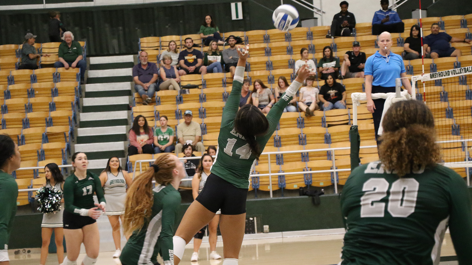 Jaylynn Nihipali - 2022 - Women's Volleyball - Eastern New Mexico ...