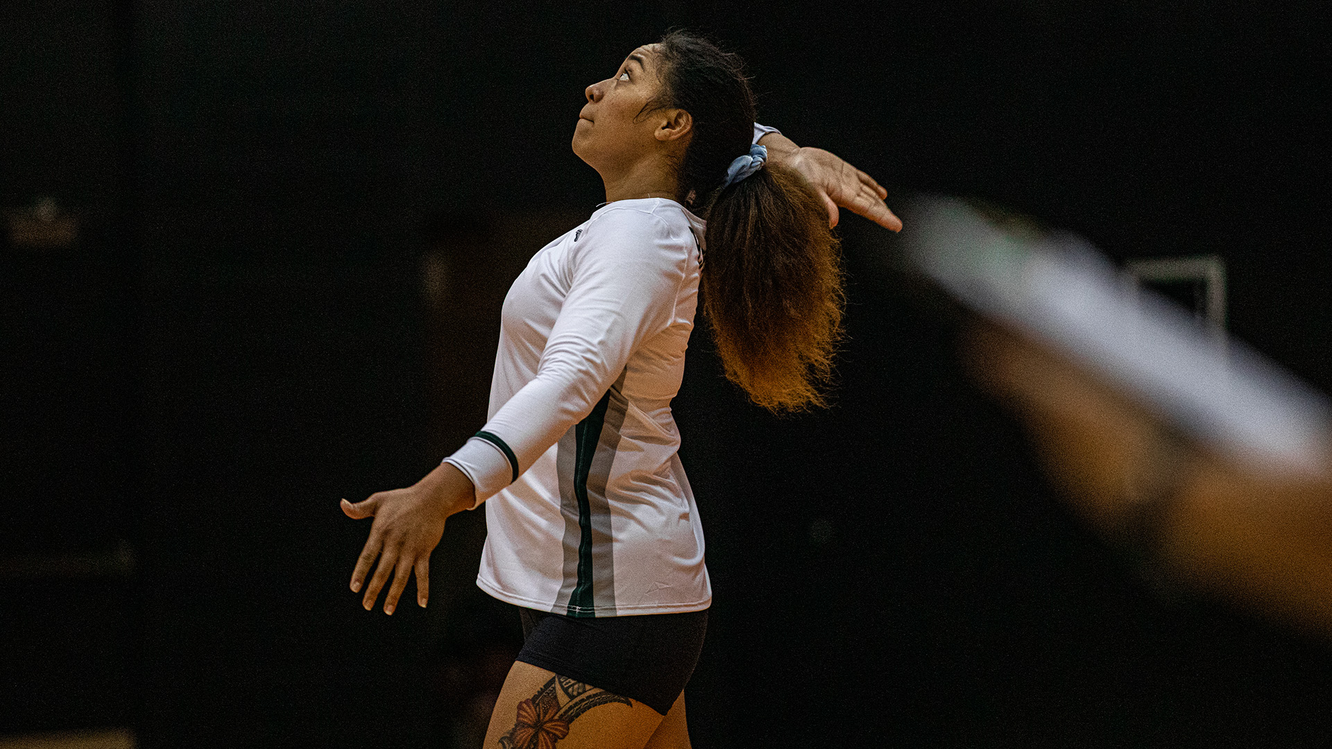 Adriana Puni - 2022 - Women's Volleyball - Eastern New Mexico ...