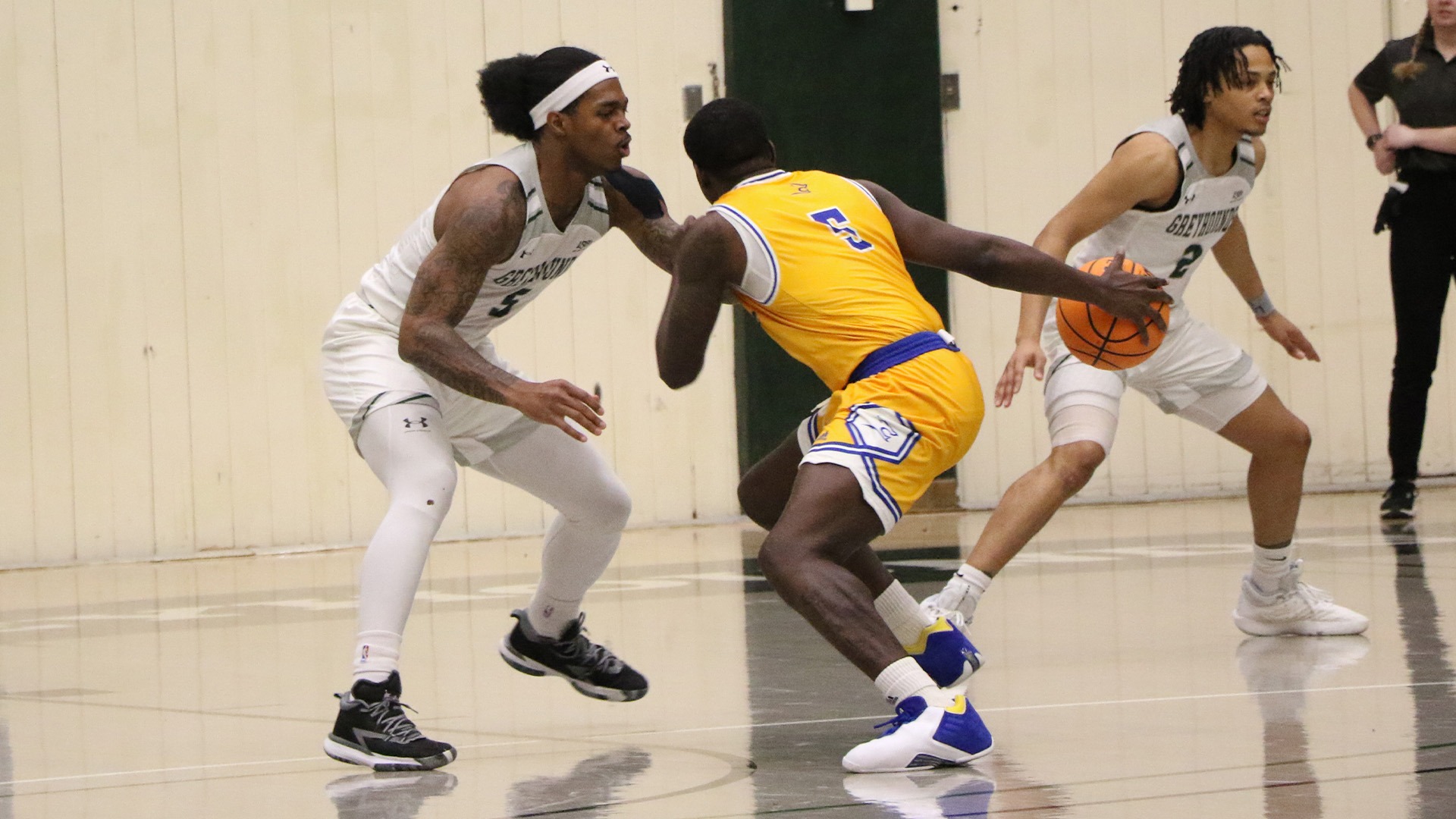 Greg Johnson - 2023-24 - Men's Basketball - Eastern New Mexico ...