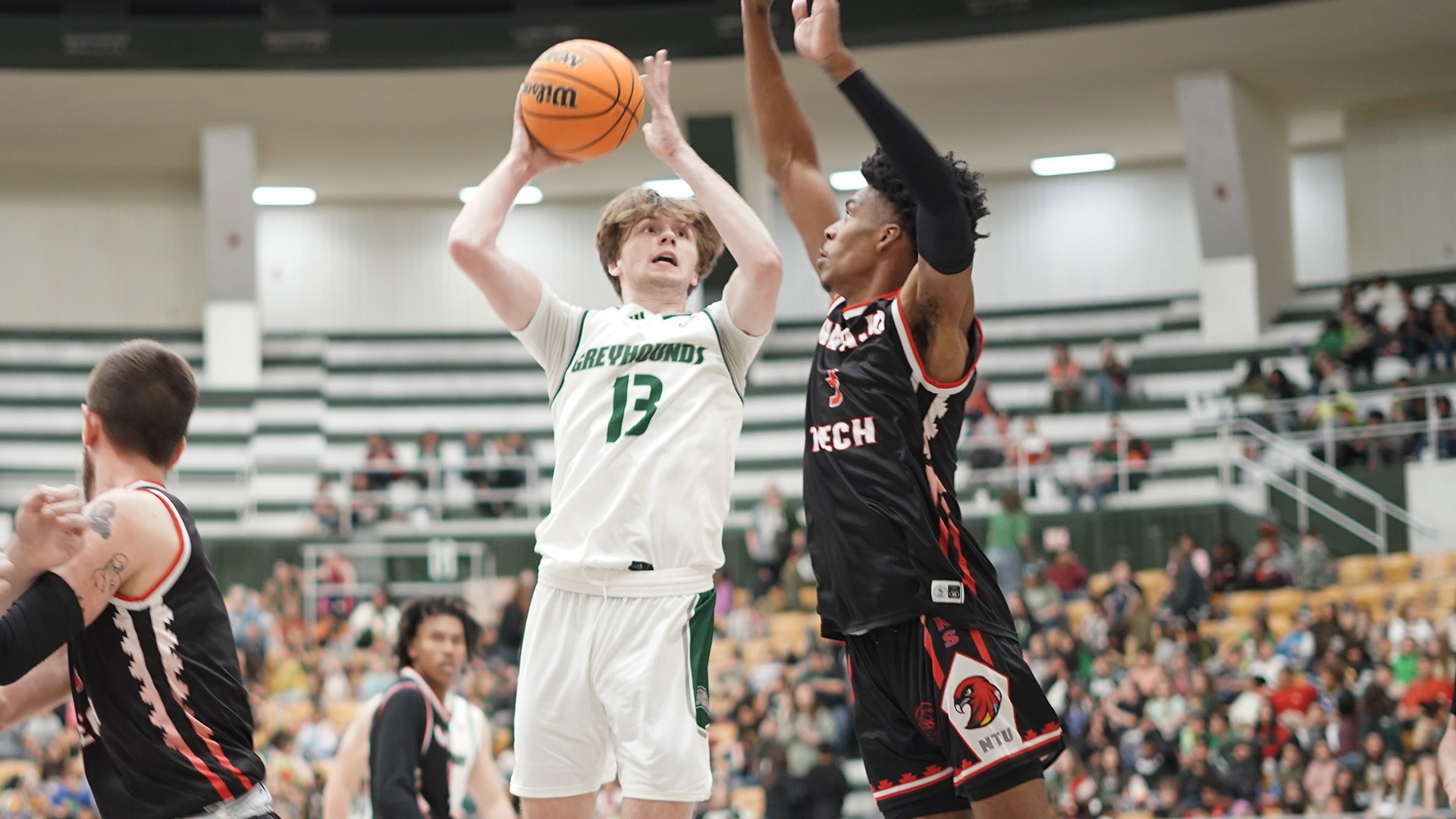 Liam Canty - 2023-24 - Men's Basketball - Eastern New Mexico University ...