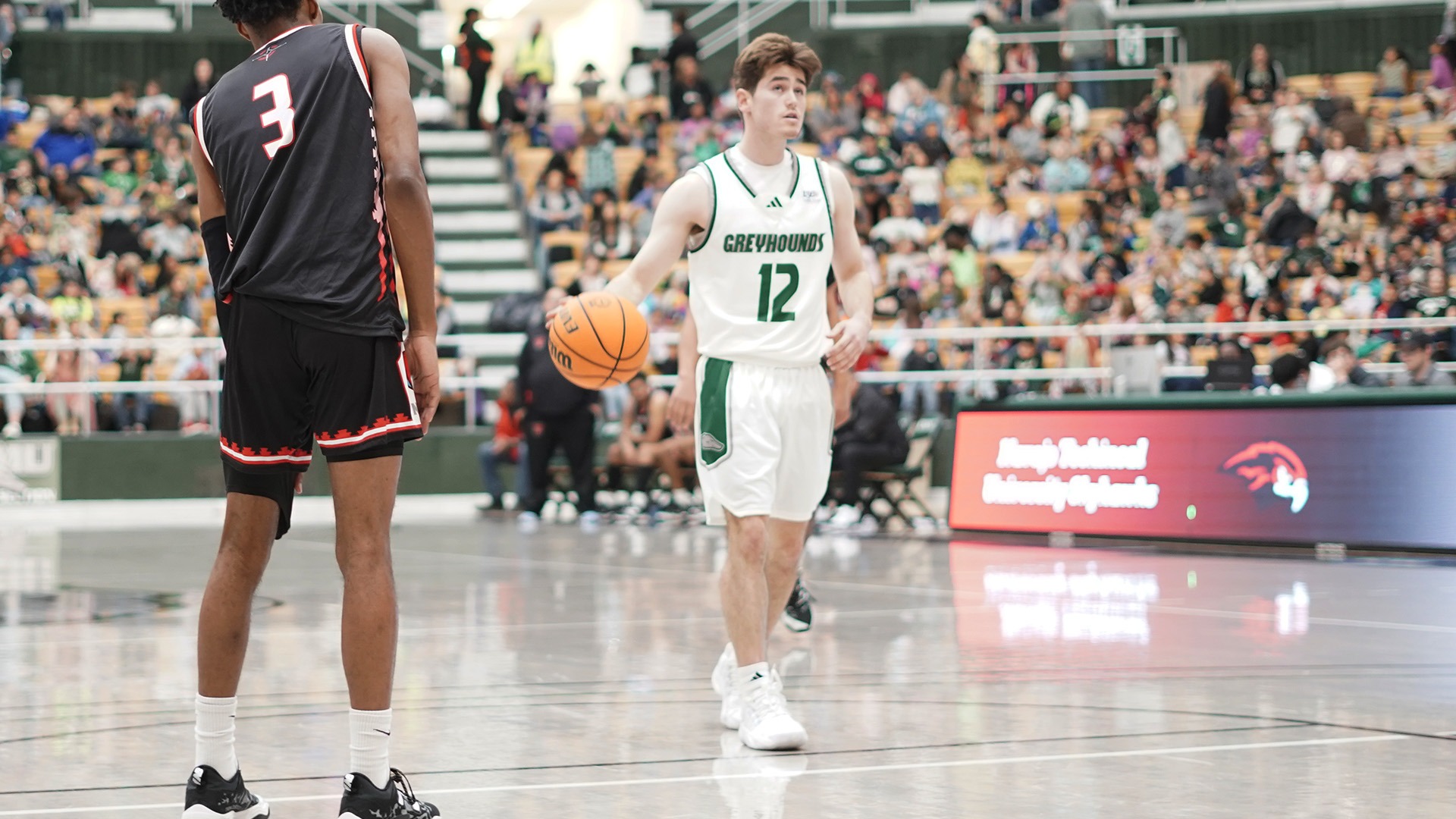 Jason Holman - 2023-24 - Men's Basketball - Eastern New Mexico ...