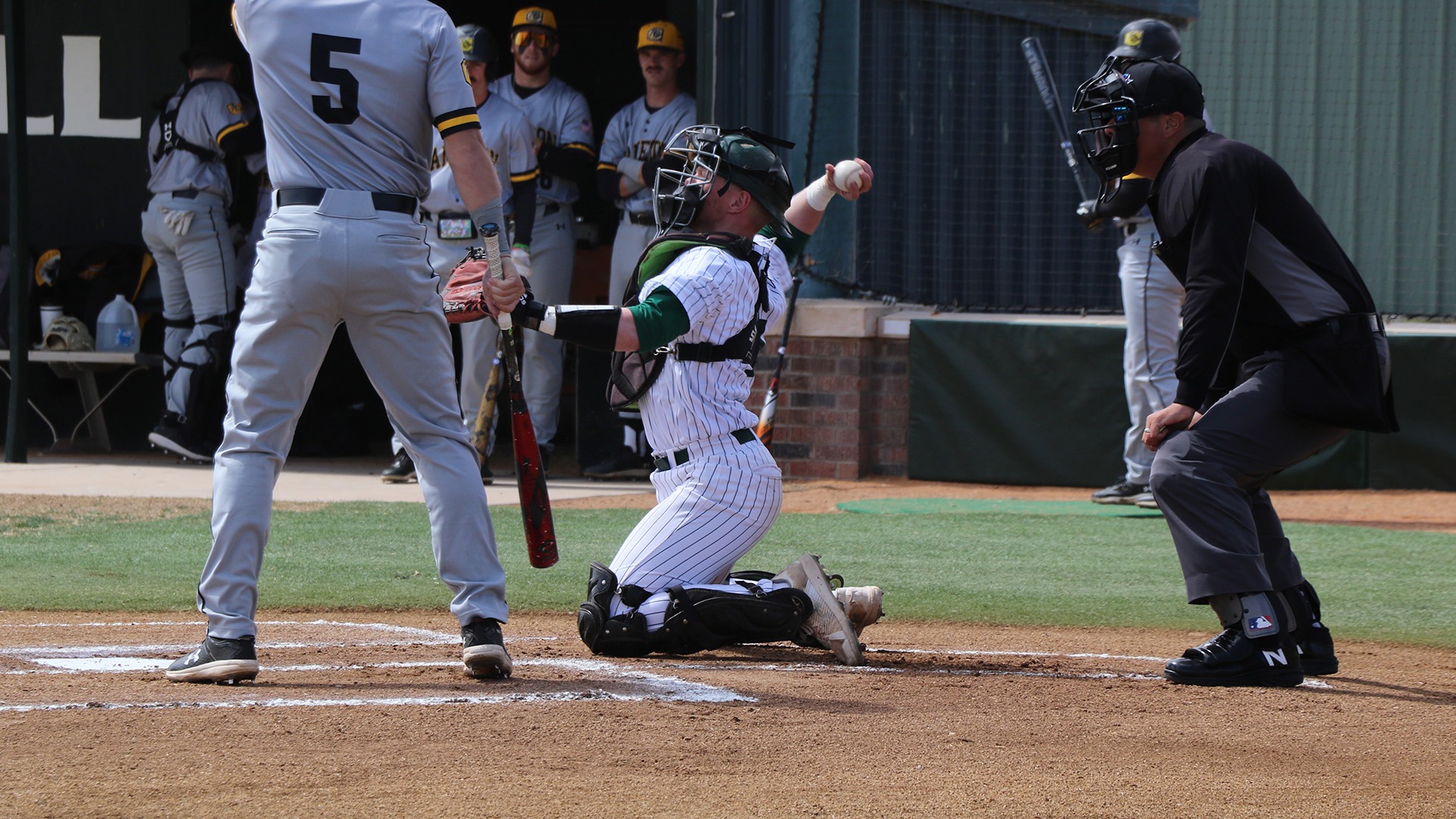 Rutger Poiry - 2024 - Baseball - Eastern New Mexico University Athletics