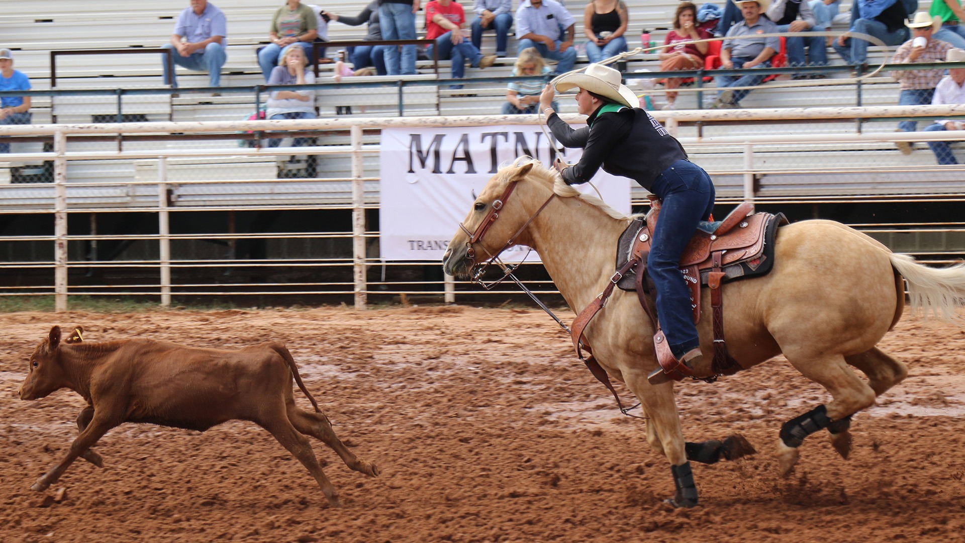 ENMU Greyhounds 2024 fall rodeo schedule - Eastern New Mexico ...
