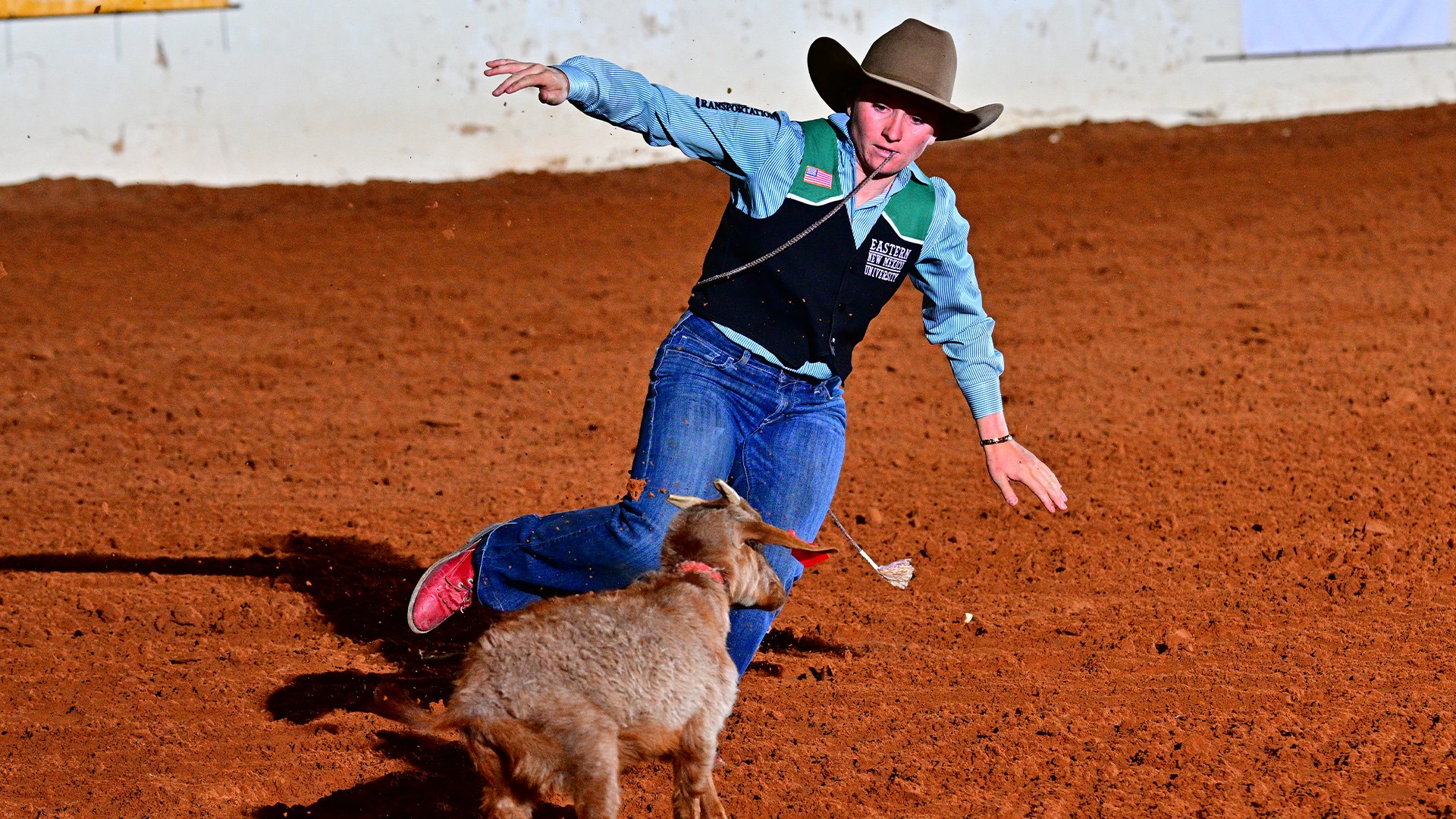 ENMU Athletics seeking applicants for head rodeo coaching position ...