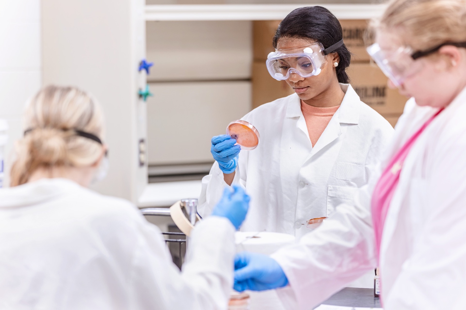 2025 Summer Camps at Emmanuel! - Emmanuel University (Ga.)