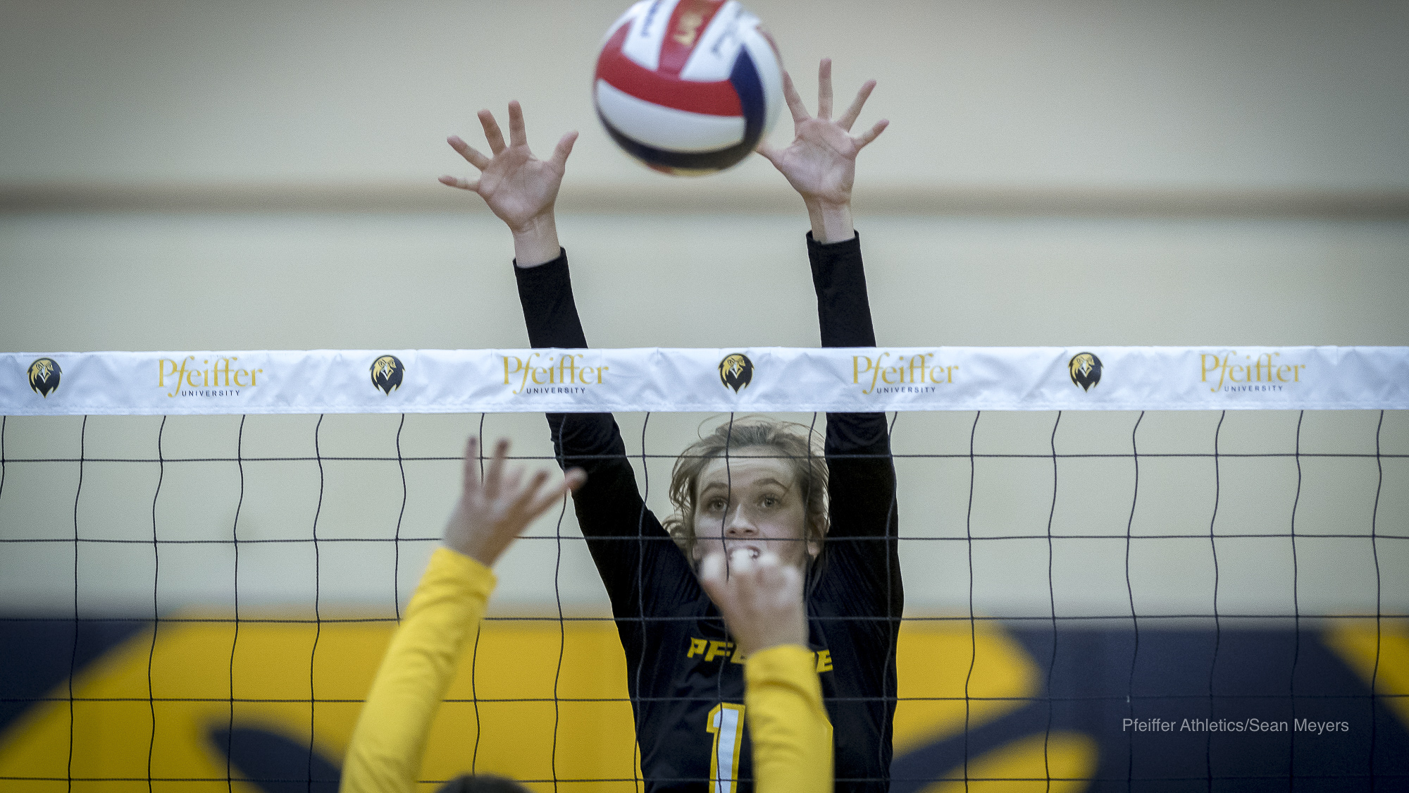 Morgan Shrader - 2023 - Women's Volleyball - Pfeiffer University