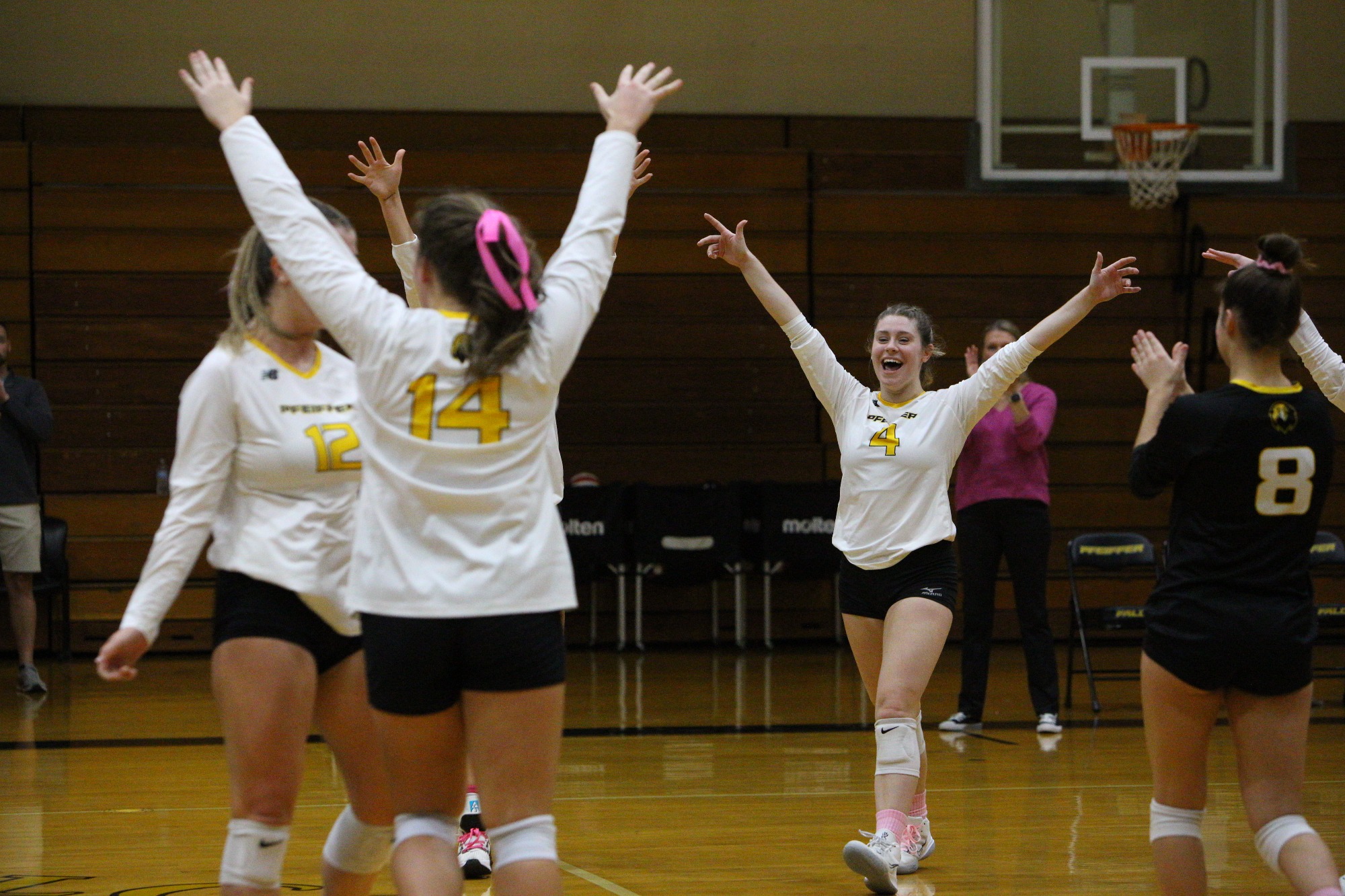 Falcons Rally From 2-0 Deficit to Take Down Brevard in Five Sets ...