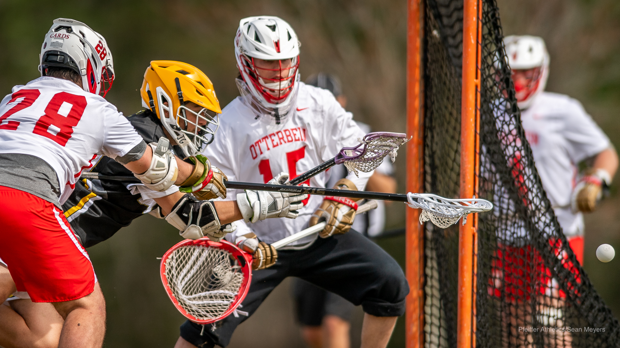 Roanoke Downs Pfeiffer Men's Lacrosse - Pfeiffer University