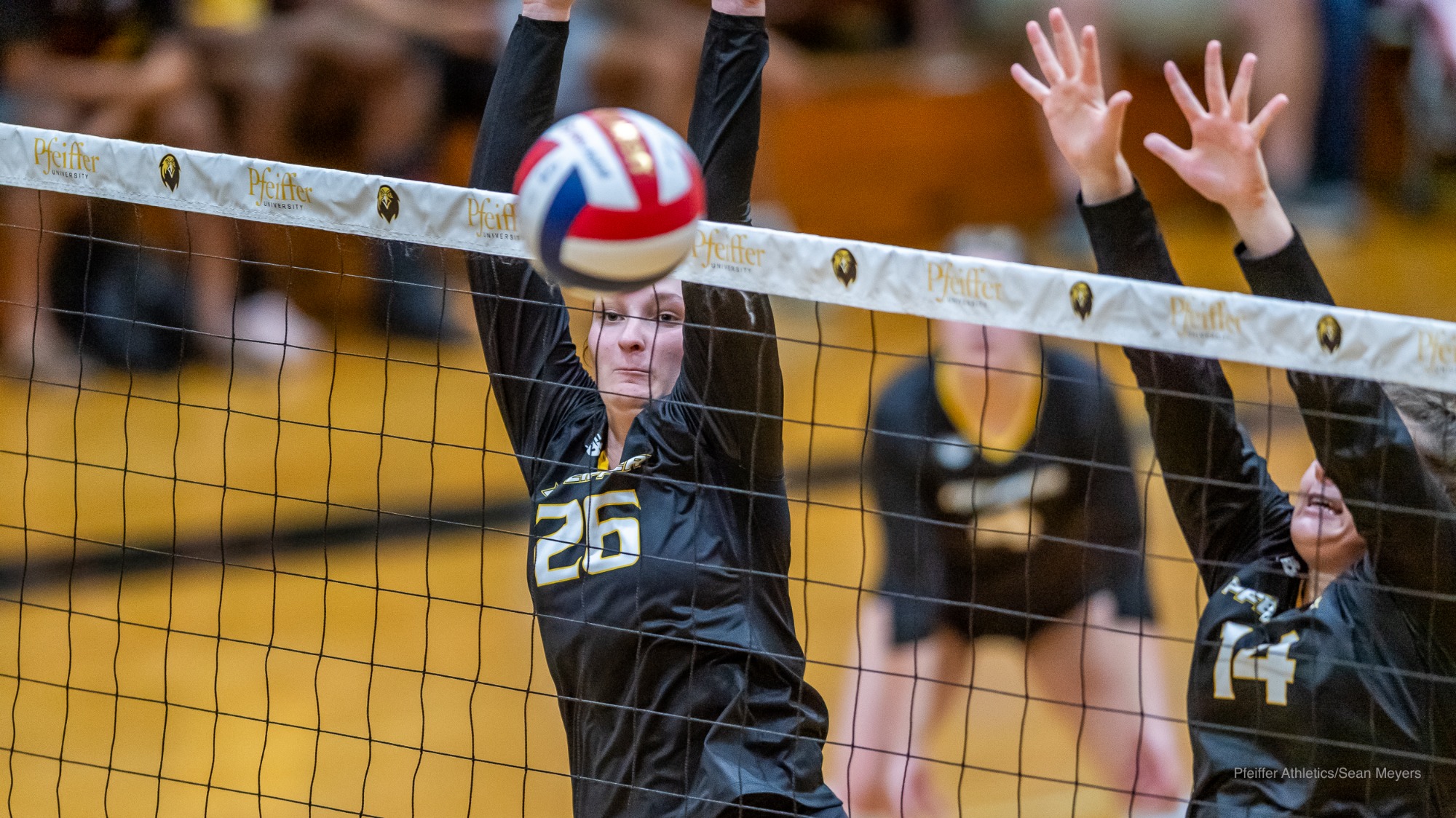 Falcon Volleyball Takes 3-1 Road Win at Mary Baldwin - Pfeiffer University