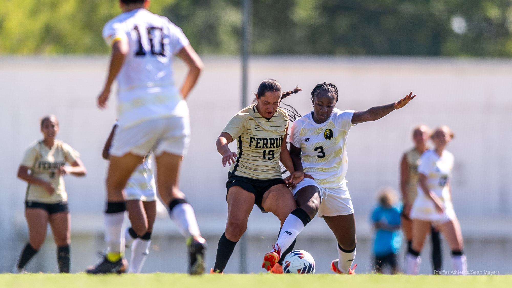 Acasio Roche Named Pfeiffer University Women's Soccer Coach - Pfeiffer ...
