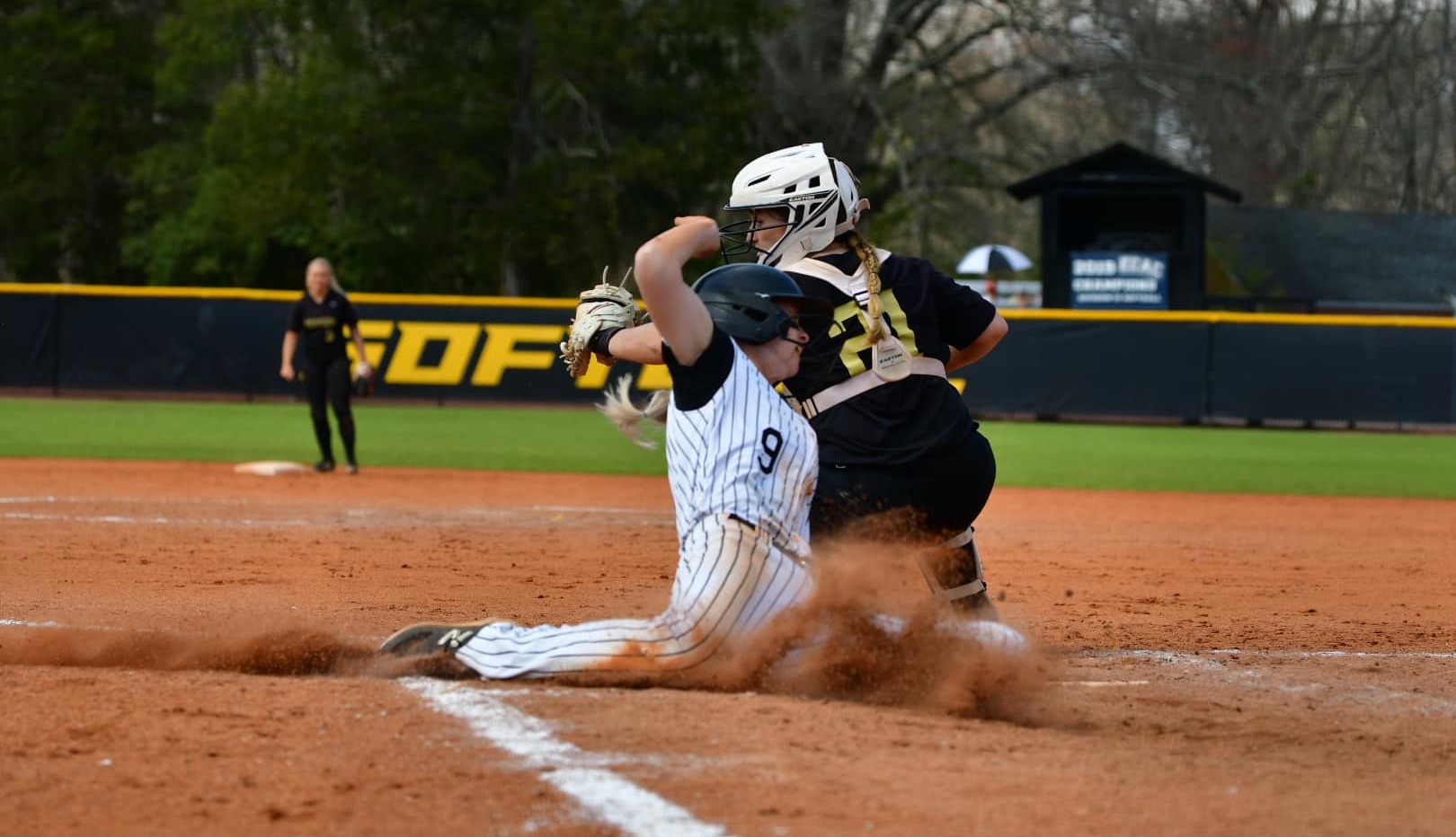 Pfeiffer Softball Runs Program Record Win Streak to 20 After Home DH ...