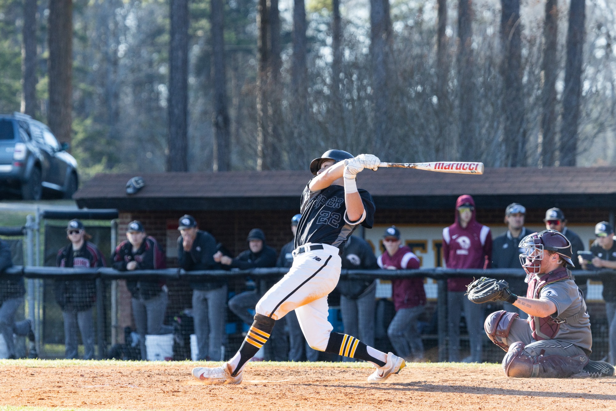 Baseball Falls at Ferrum - Pfeiffer University