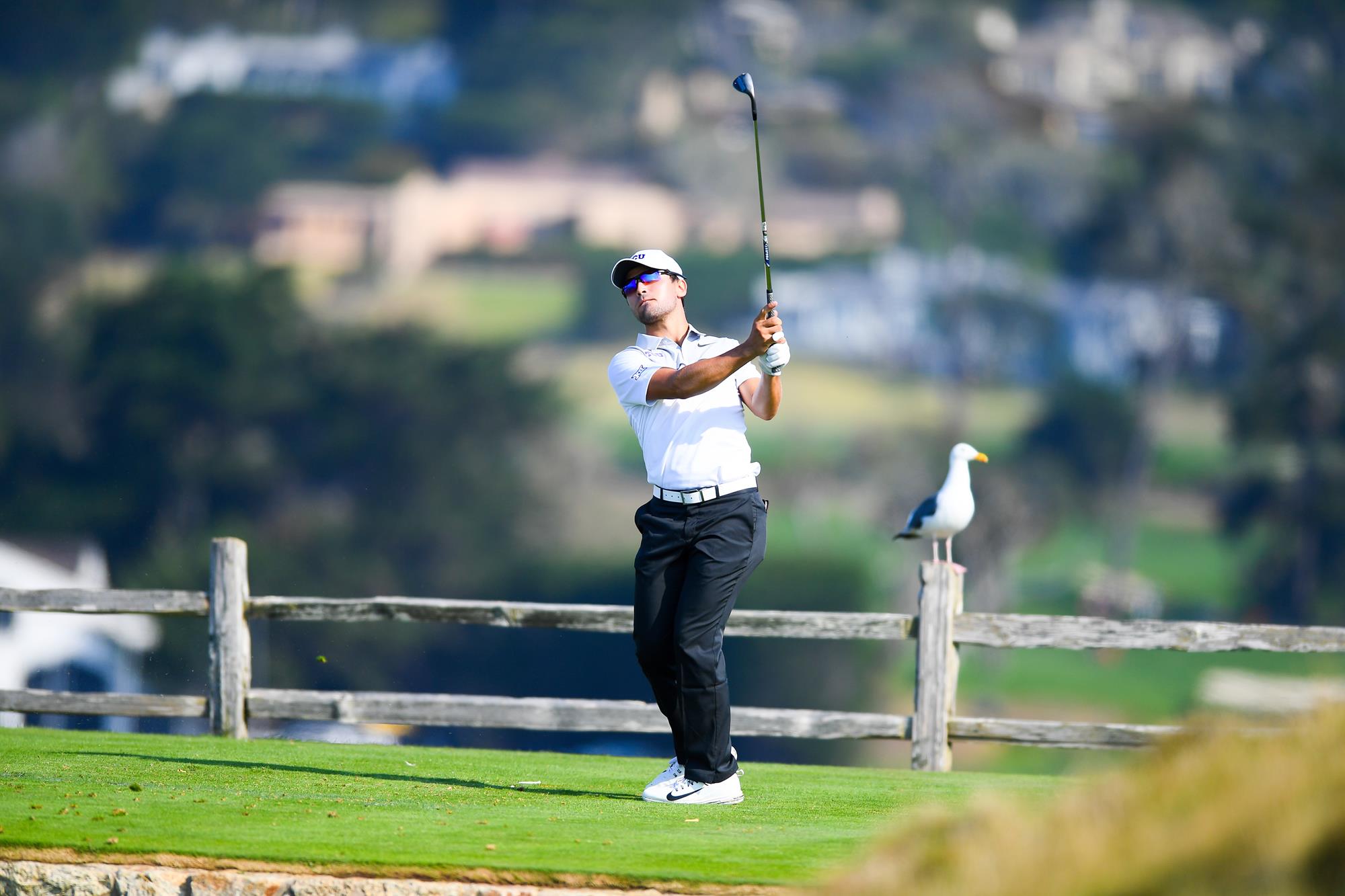 David Ravetto - Men's Golf - TCU Athletics