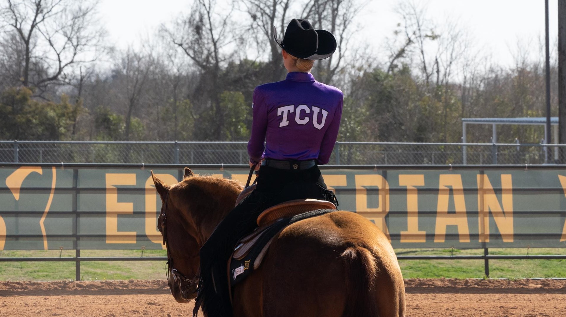 Anna Hauter - Equestrian - TCU Athletics