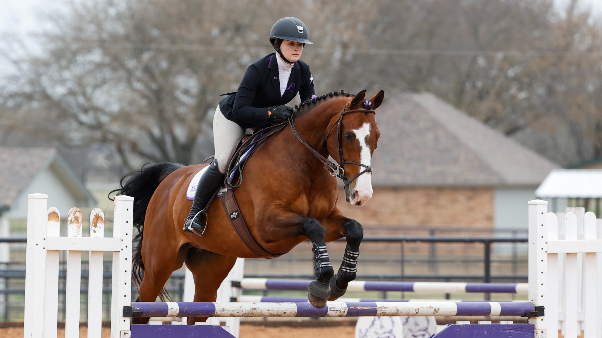 Isabella Baxter - Equestrian - TCU Athletics