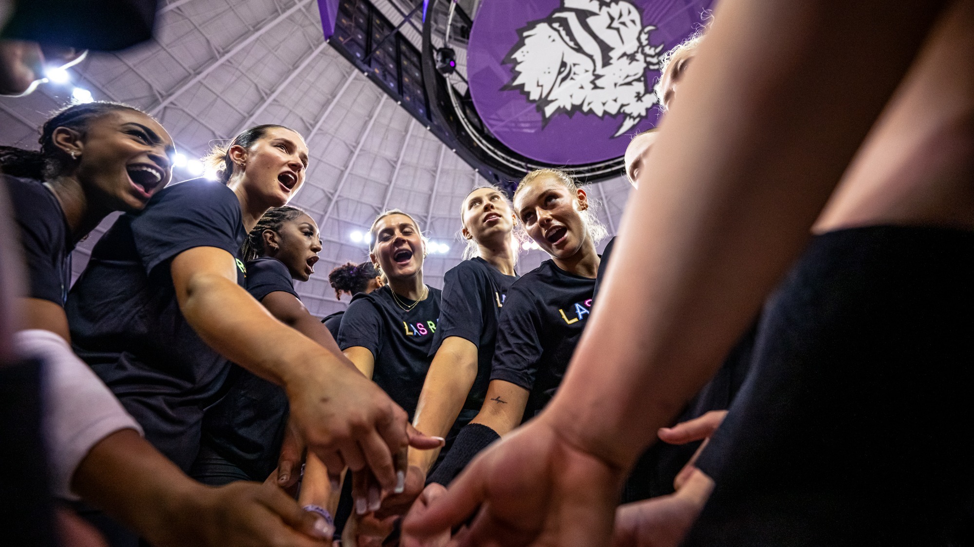 Volleyball Announces 2024 Signing Class - TCU Athletics