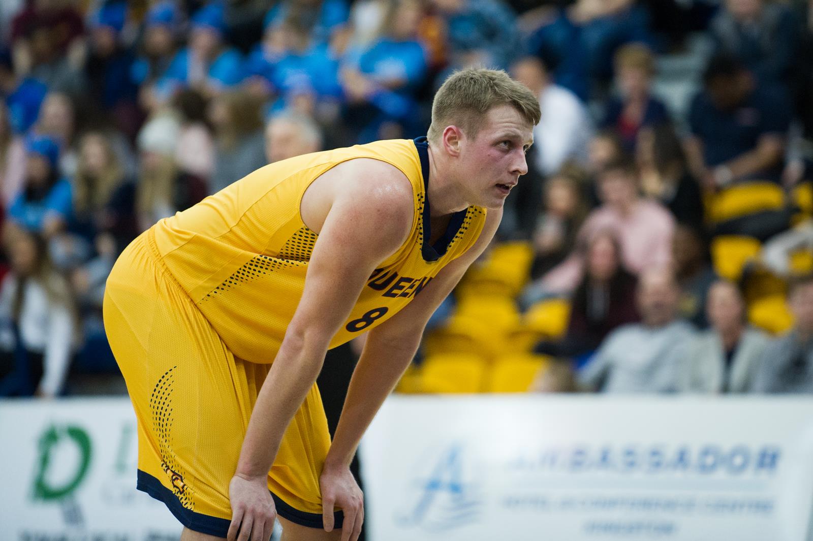 Jesse Graham - Basketball (M) - Queen's University Athletics