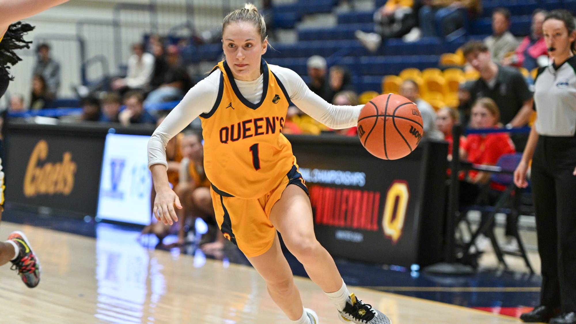 Barbieri leads offence off the bench, Gaels open season with big win ...