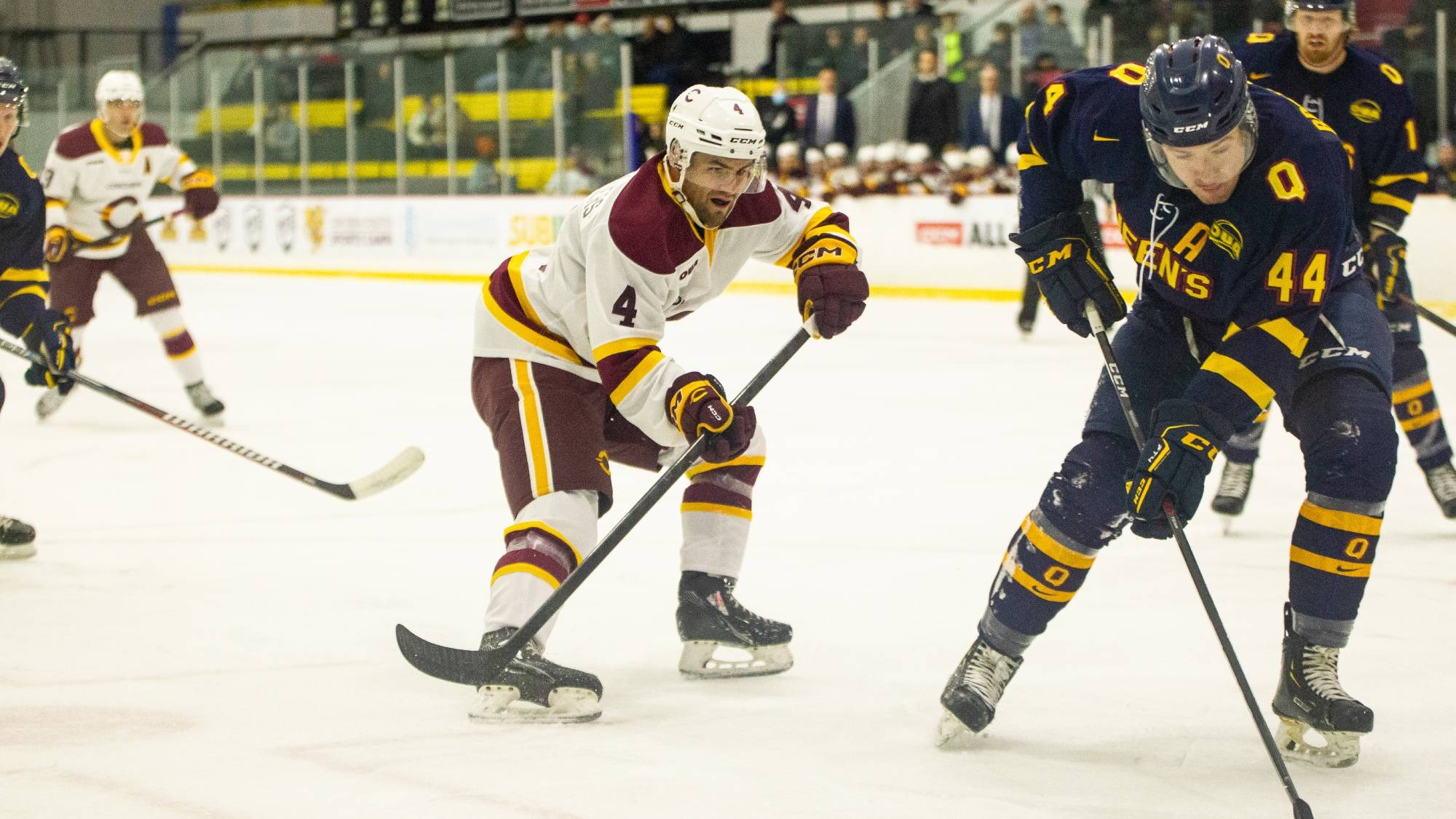 Queen s Men s Hockey Drop Final Game Of Season To Concordia Queen s queen-s-men-s-hockey-drop-final-game-of-season-to-concordia-queen-s
