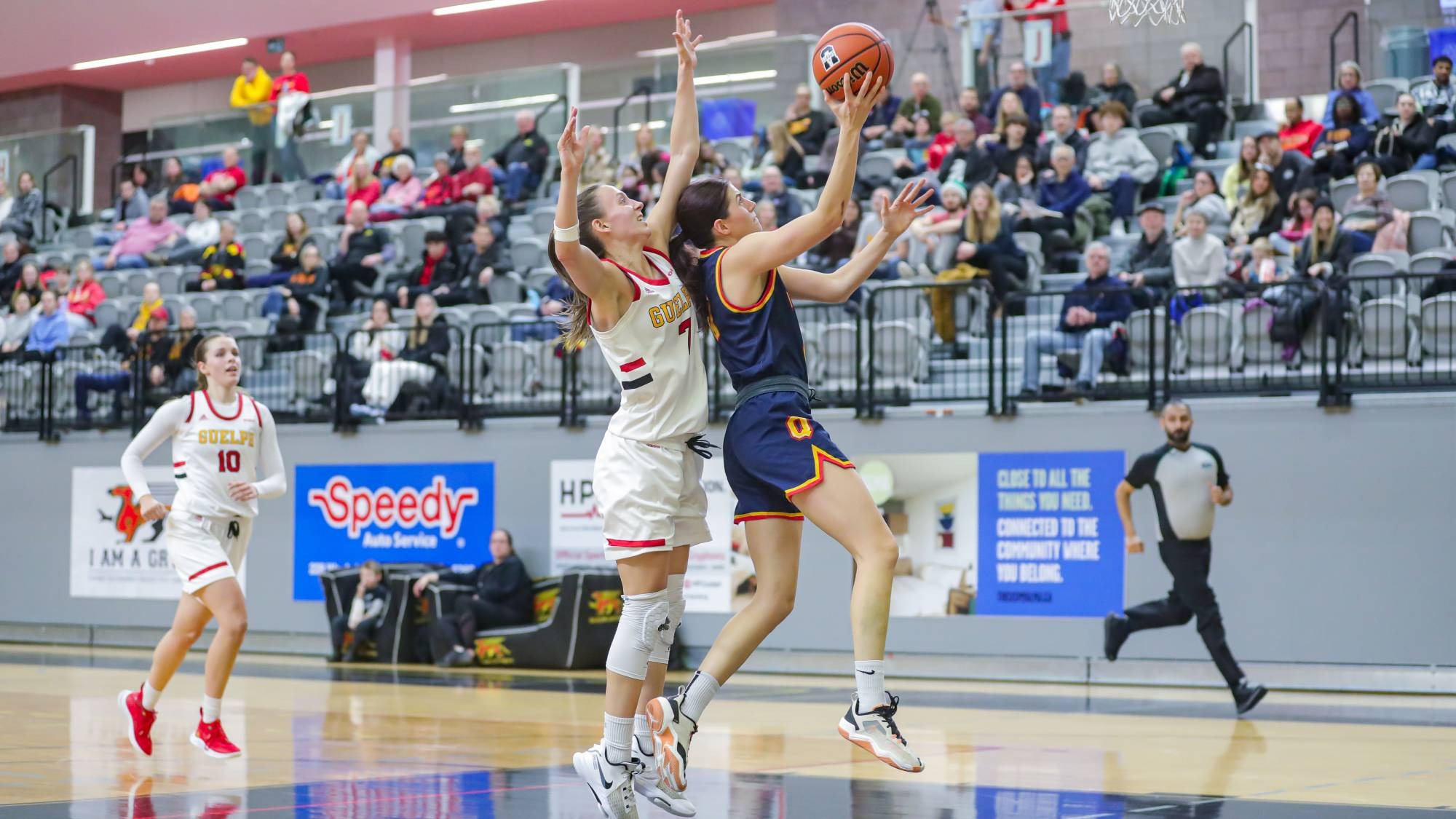 Big second quarter leads Queen's Women's Basketball past Guelph - Queen ...