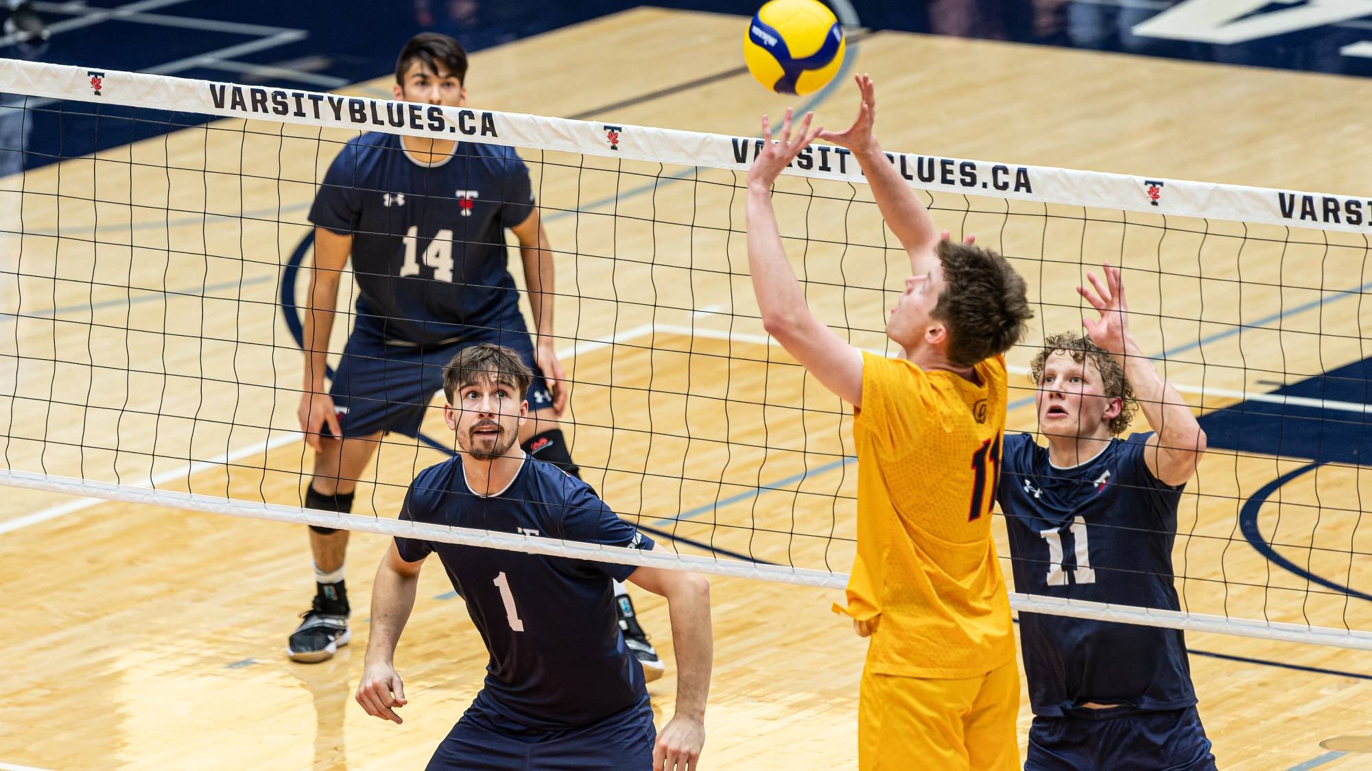 Gaels lose road contest to Toronto in four sets - Queen's University ...