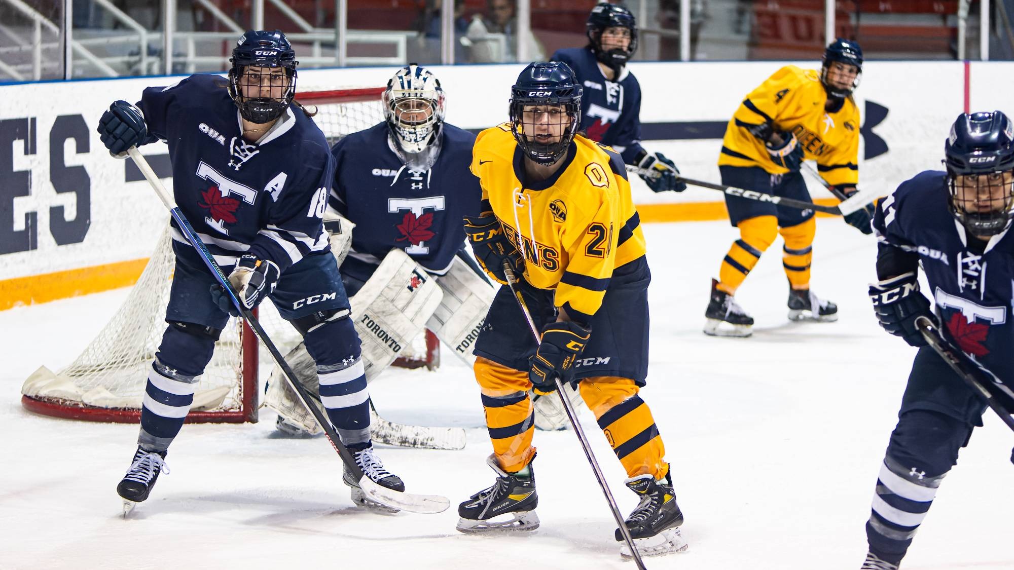 Campbell named OUA All-Star; Cranney, Tennant named to OUA All-Rookie ...