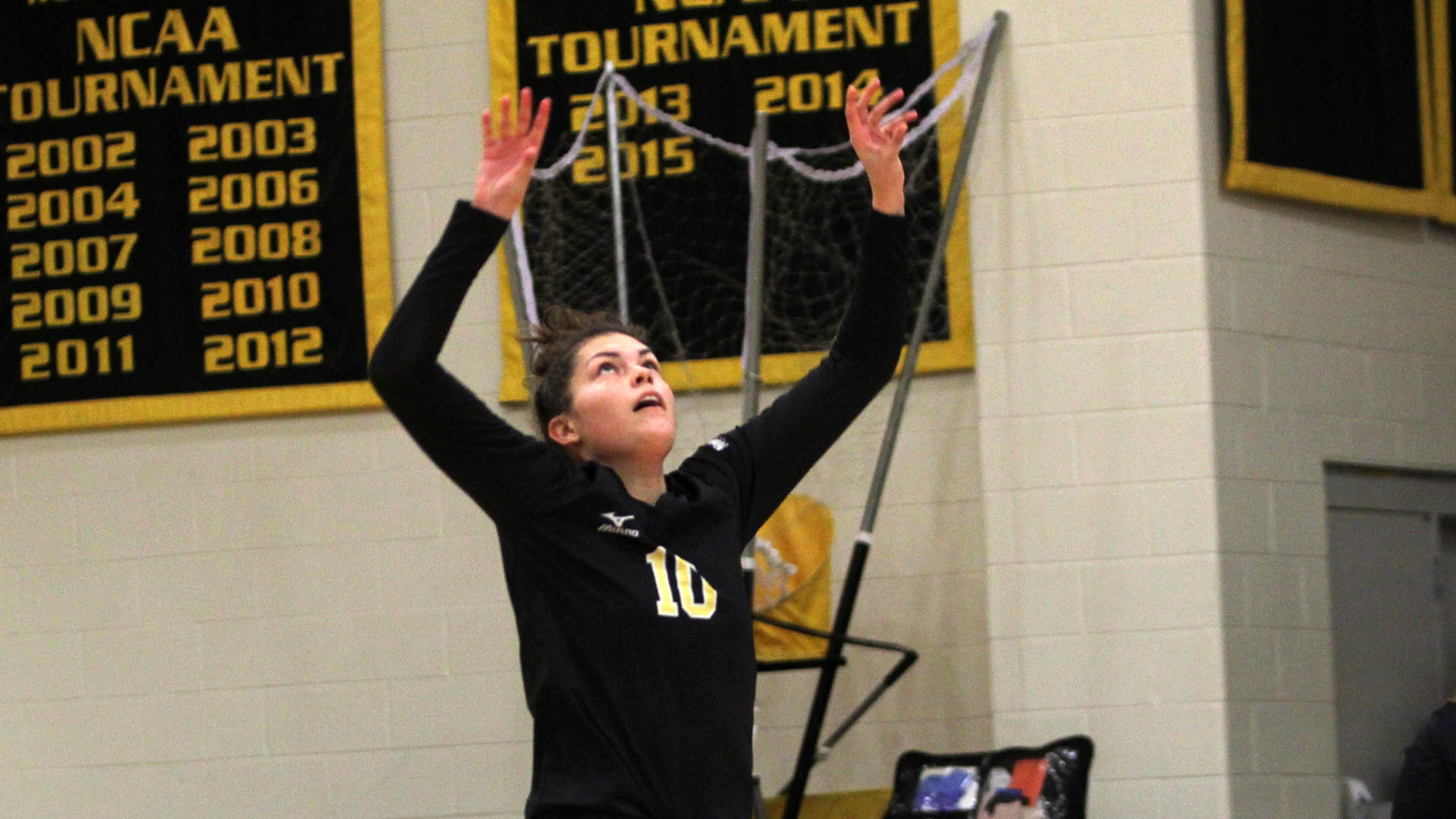 Victoria Fogg - Women's Volleyball - College of Saint Rose Athletics