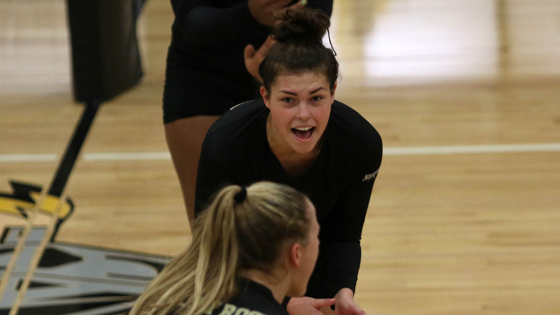 Victoria Fogg - Women's Volleyball - College of Saint Rose Athletics