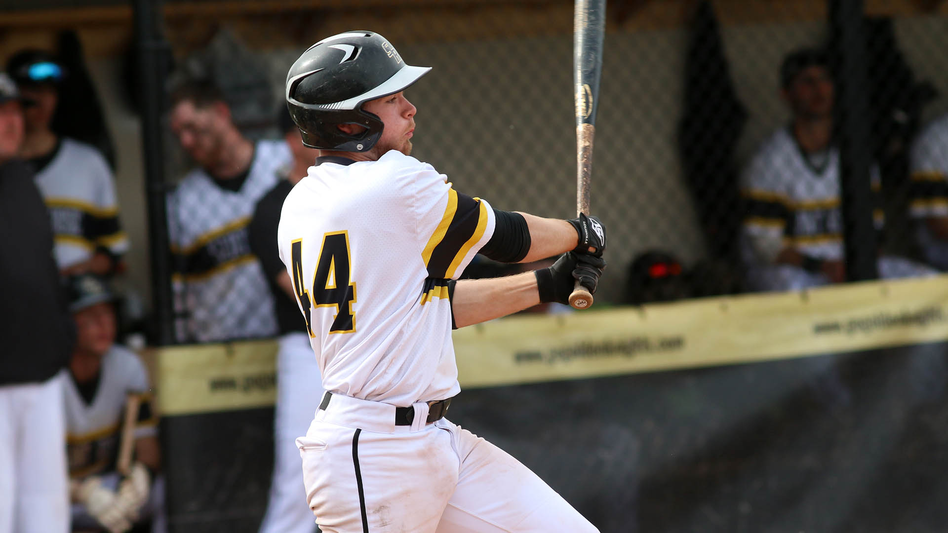 Max Gebauer - Baseball - College of Saint Rose Athletics