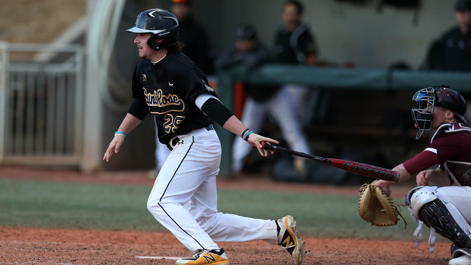 James Dolan - Baseball - College of Saint Rose Athletics