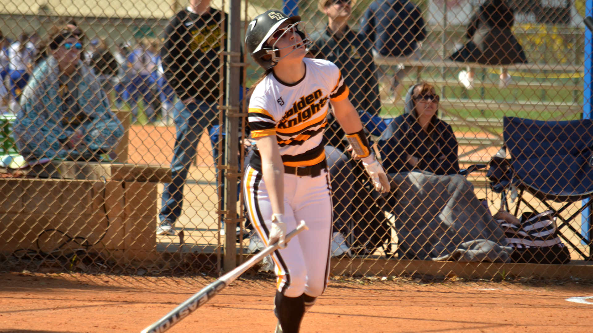 Colette Cohen - Softball - College of Saint Rose Athletics