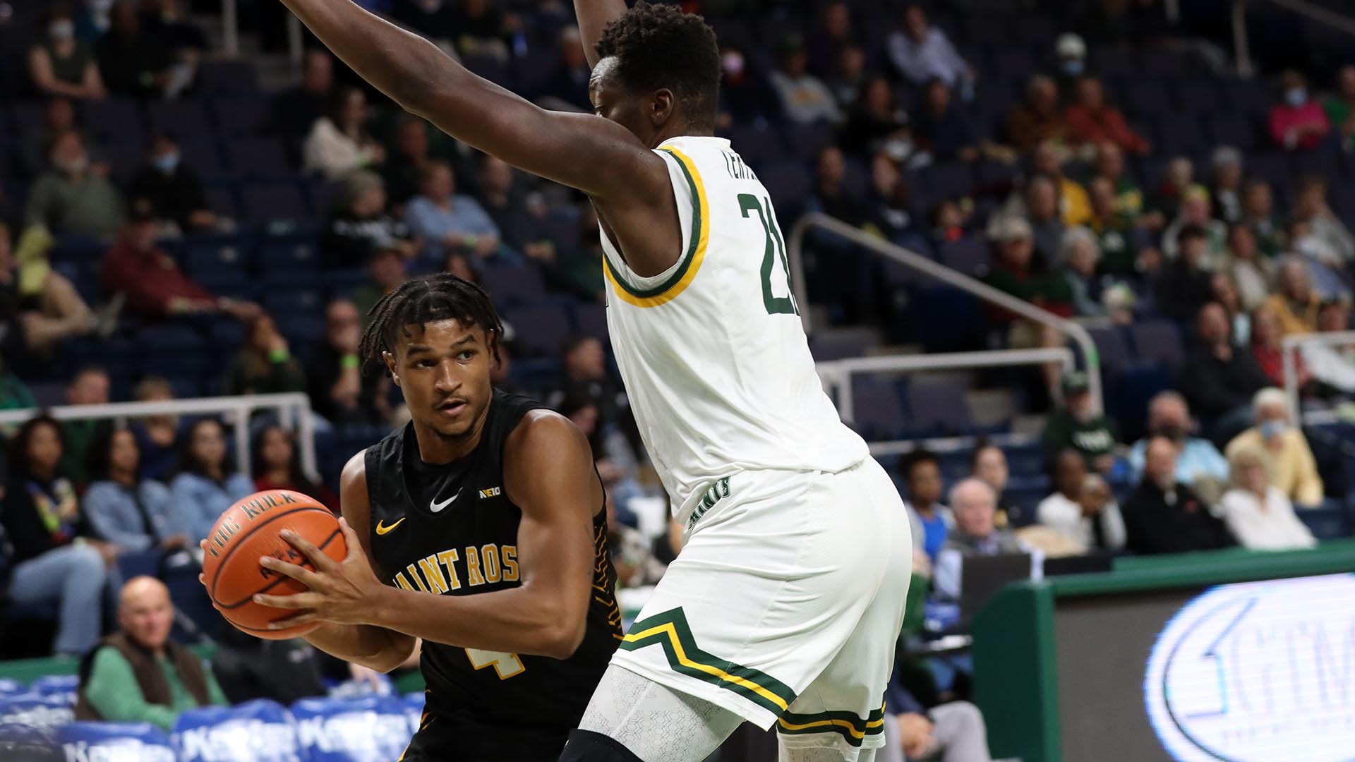 Eric Fleming - Men's Basketball - College of Saint Rose Athletics